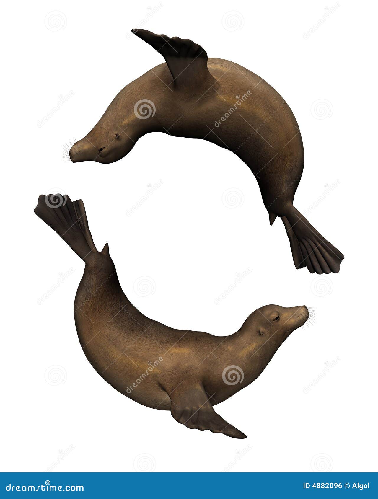 Two Seals stock illustration. Illustration of seals, creatures - 4882096