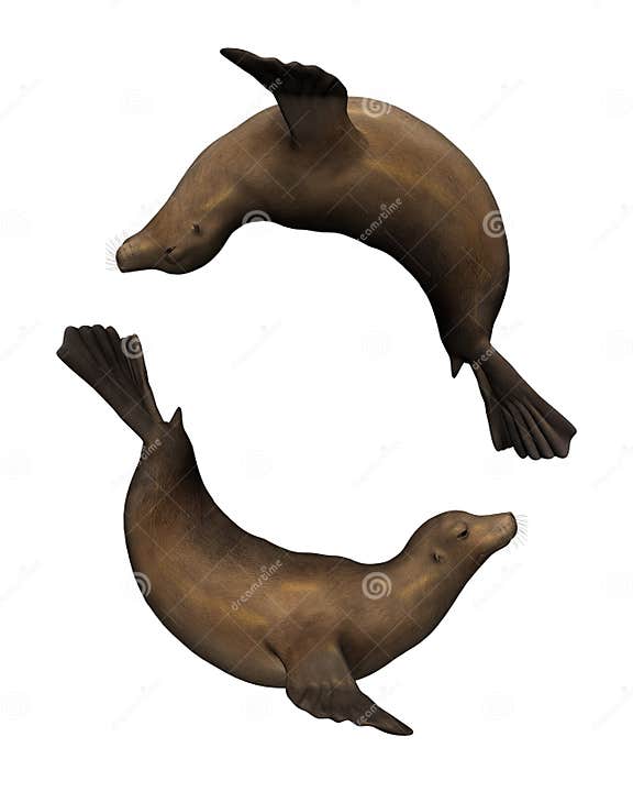 Two Seals stock illustration. Illustration of seals, creatures - 4882096