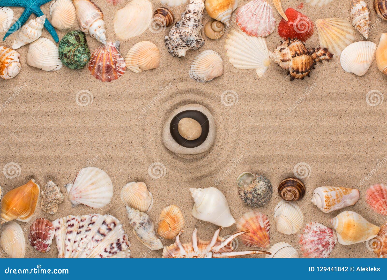 Two Seashell in the Center of a Circle Made of Sand, among Seashells ...
