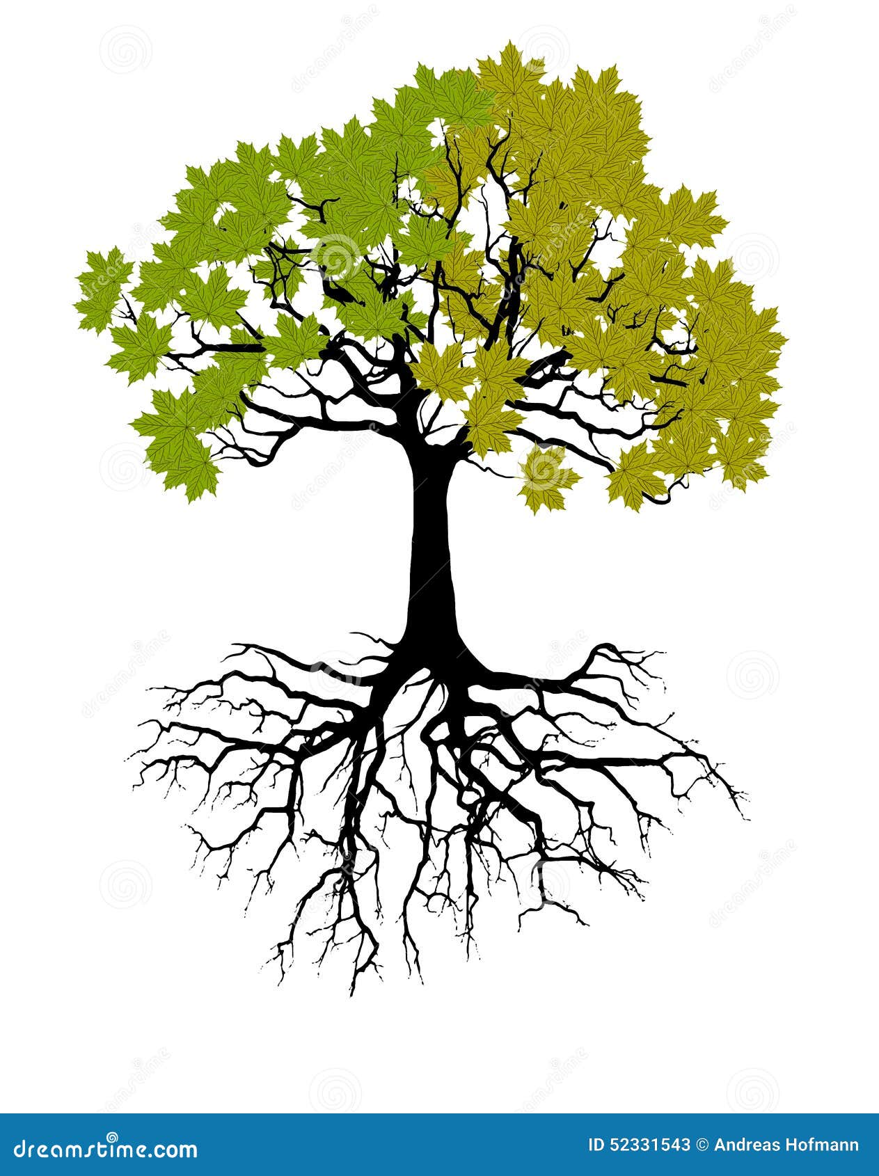 Two Seasons - Spring, Summer. Art Tree Beautiful for Your Design ...