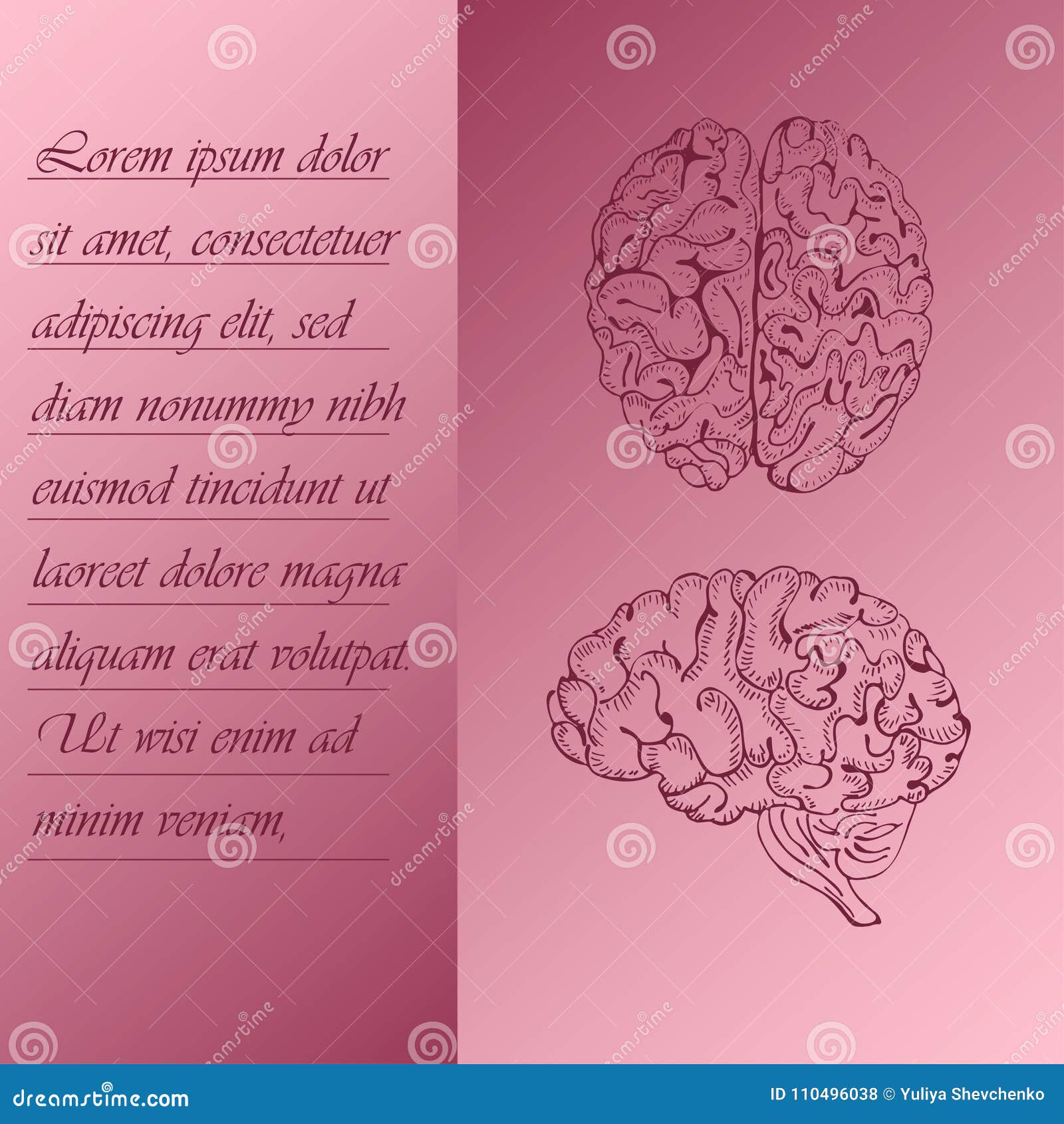 Two Section Poster about Human Brain Stock Vector - Illustration of ...