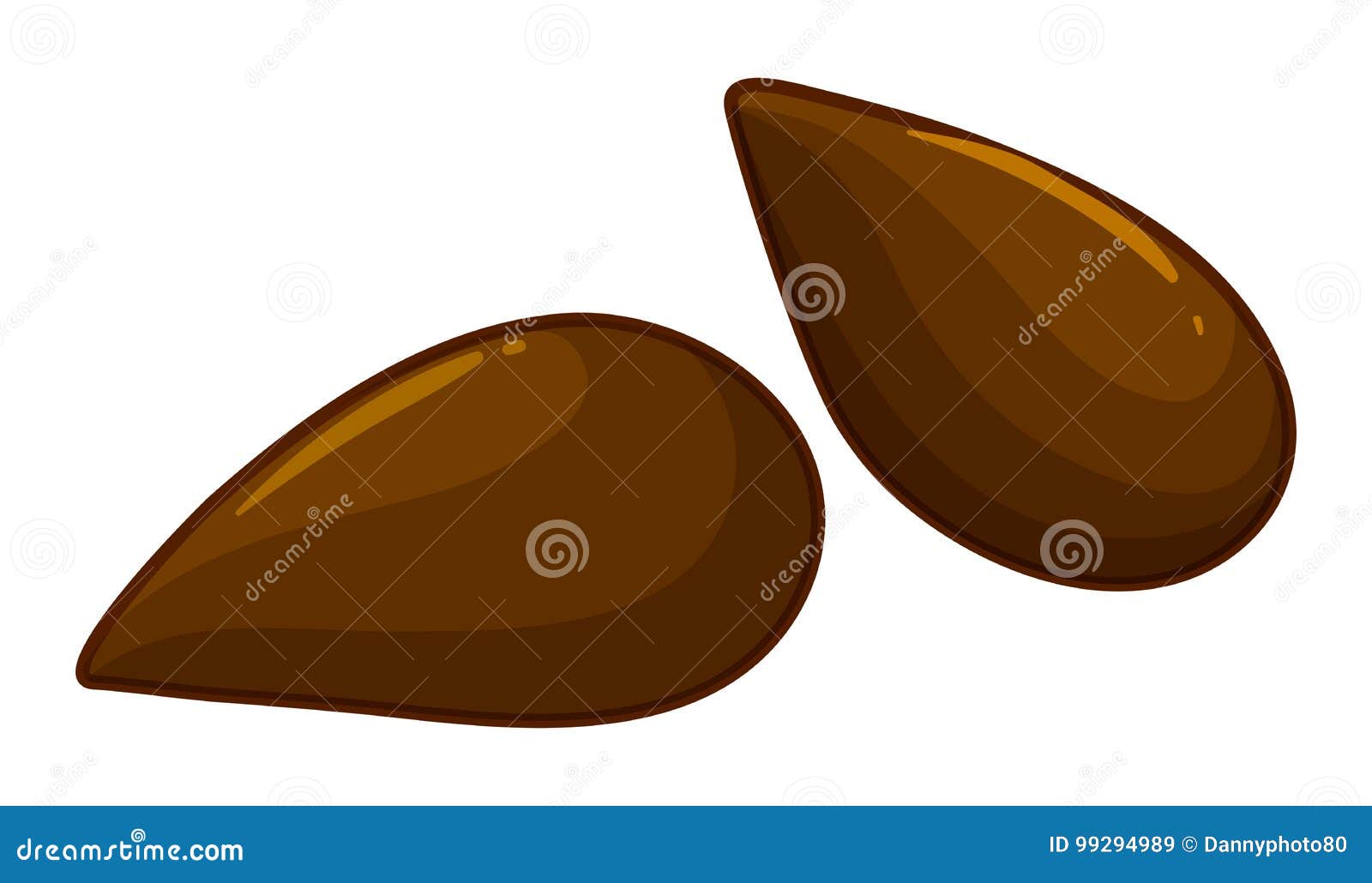 Two seeds of apple fruit stock vector. Illustration of isolated - 99294989