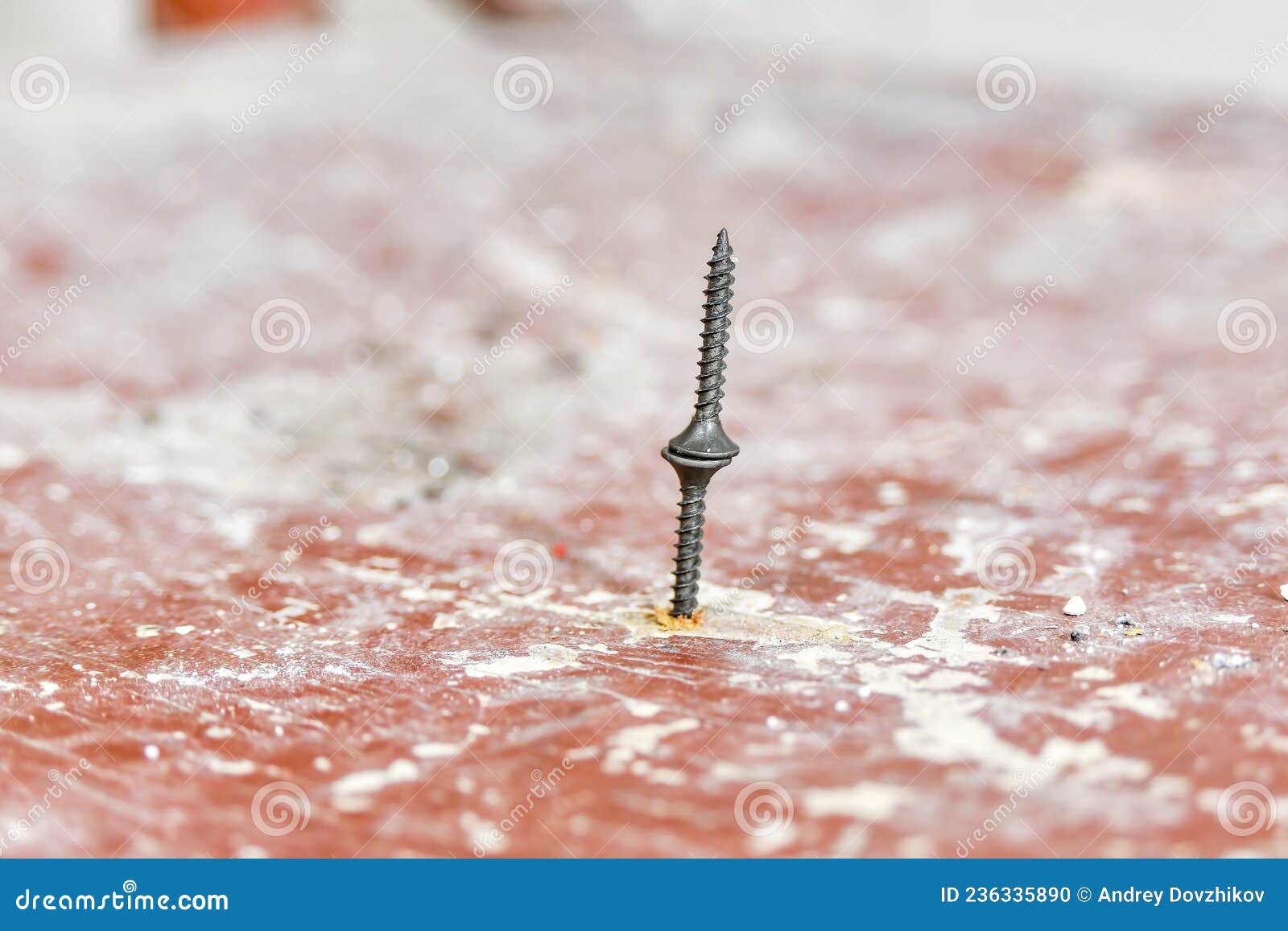 Two Self-tapping Screws on Top of Each Other Stock Photo - Image of ...