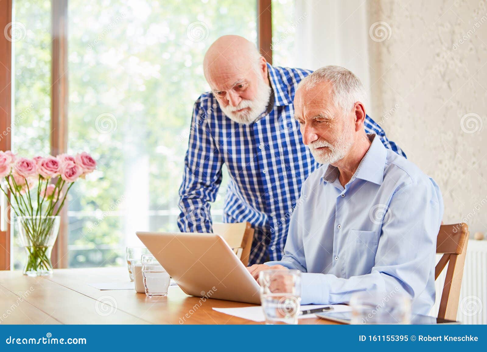 Two Seniors Using Computers in E-learning Stock Image - Image of ...