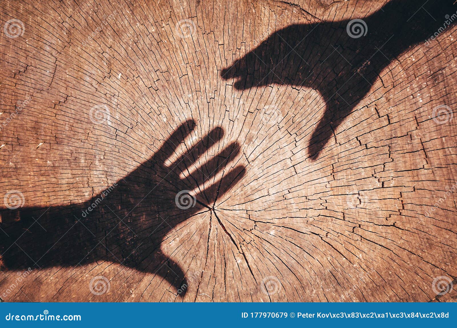 Two Shadow Shaking Hands As a Sign of Love and Friendship Stock Image ...