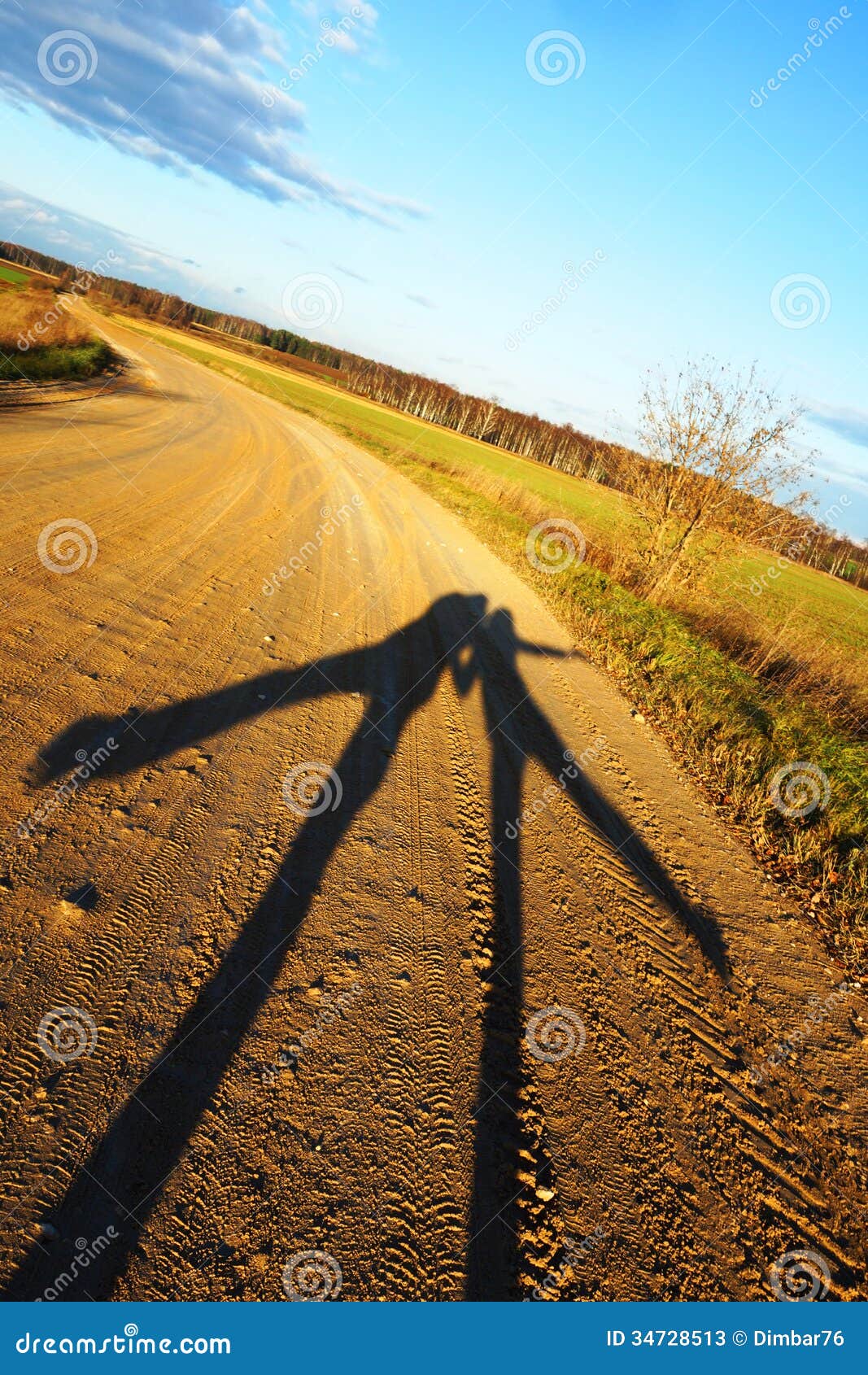Two Shadows on the Background of Autumn Road Stock Image - Image of ...