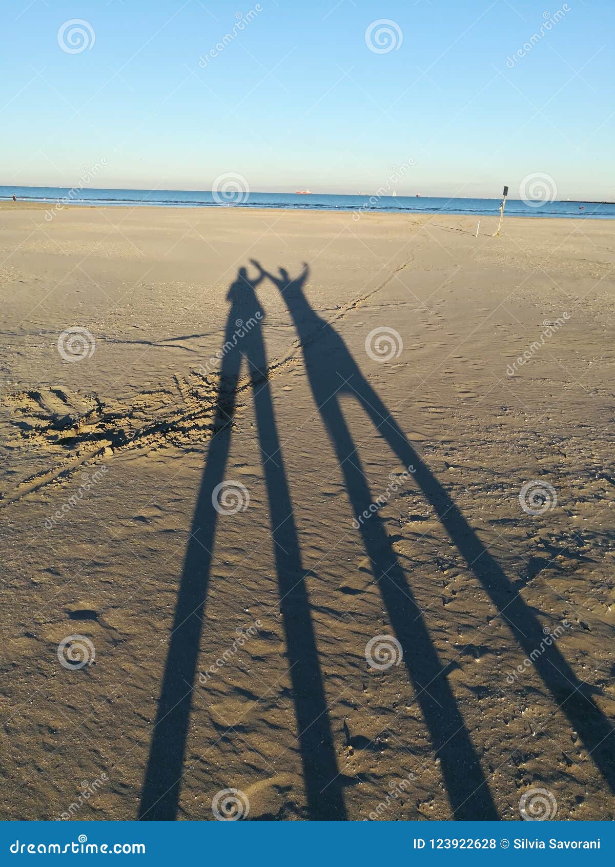 Shadows on the beach stock photo. Image of shadows, sunset - 123922628