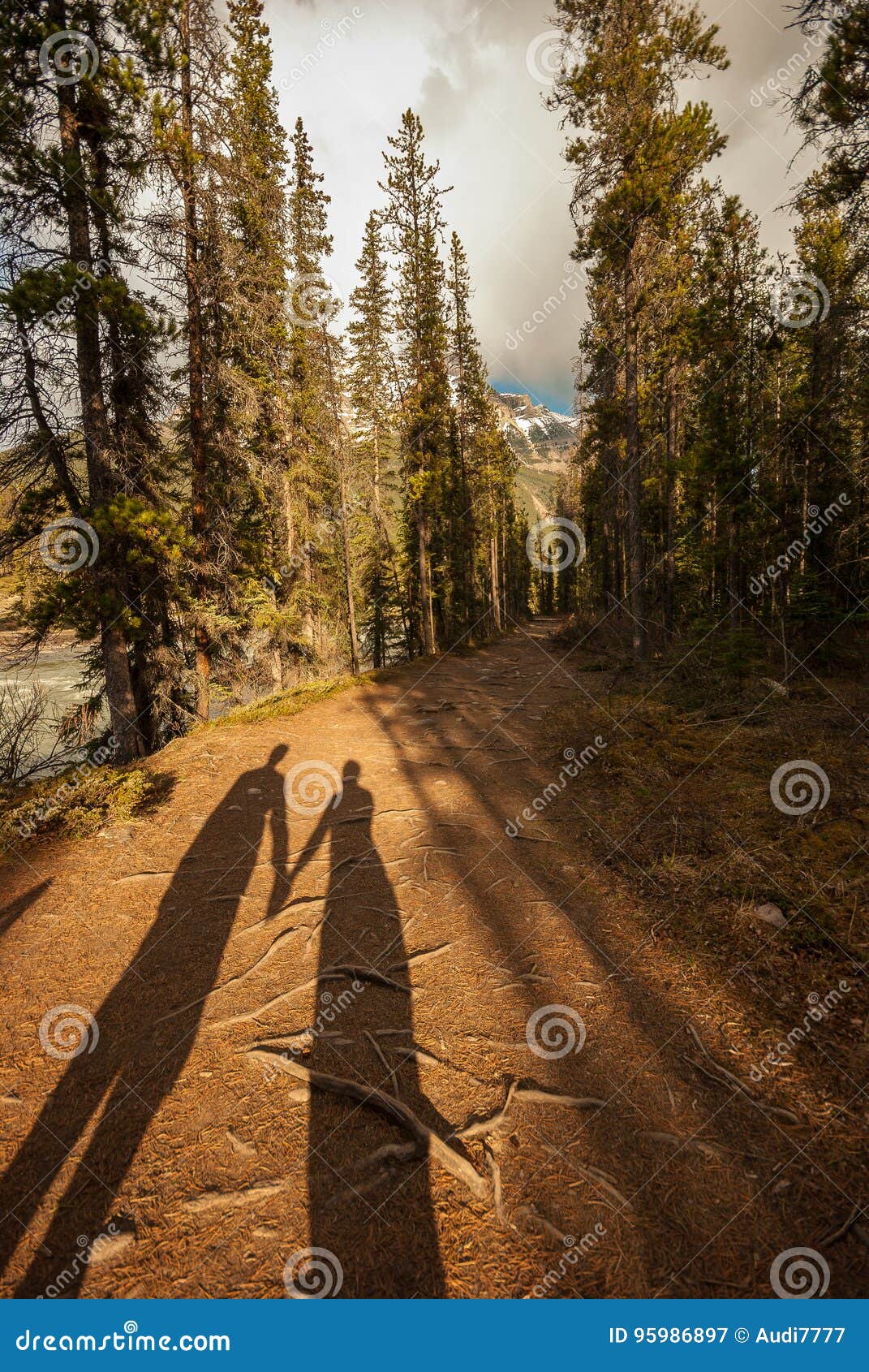 Two Shadows Holding Hands in Golden Light Down a Forested Path Stock ...