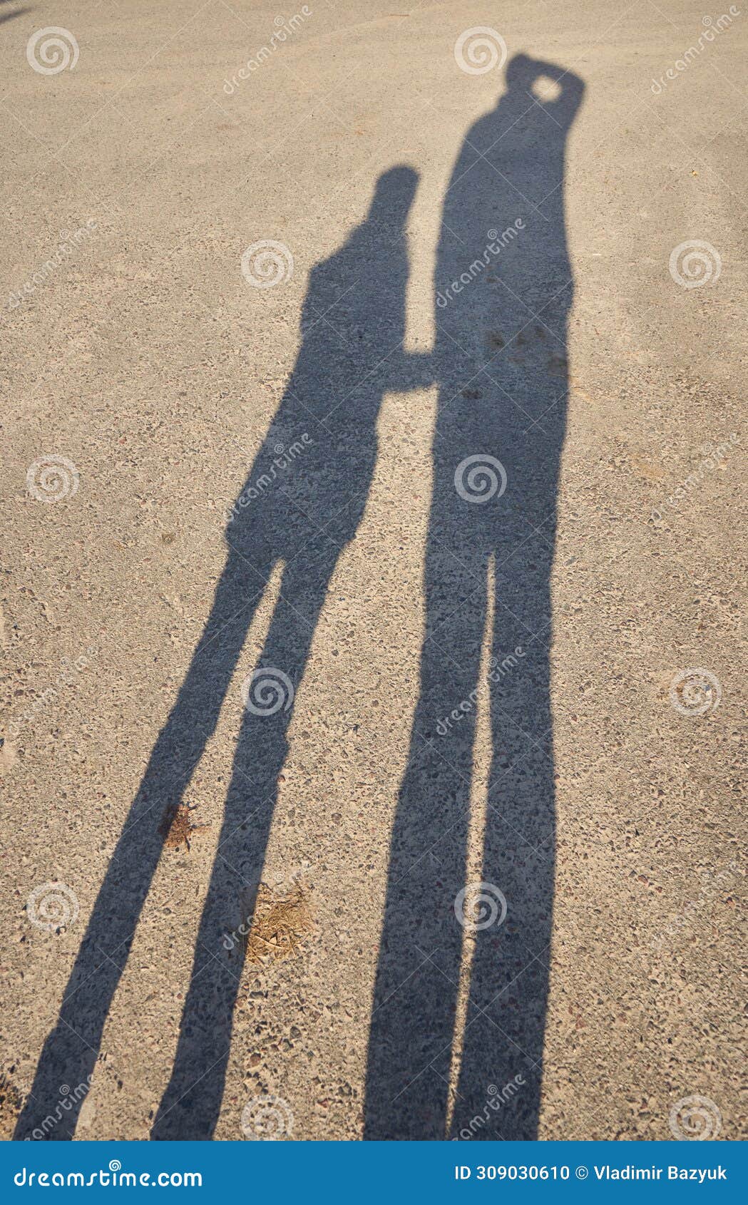 Two Shadows of People, the Shadow of a Man with a Child on the Asphalt ...