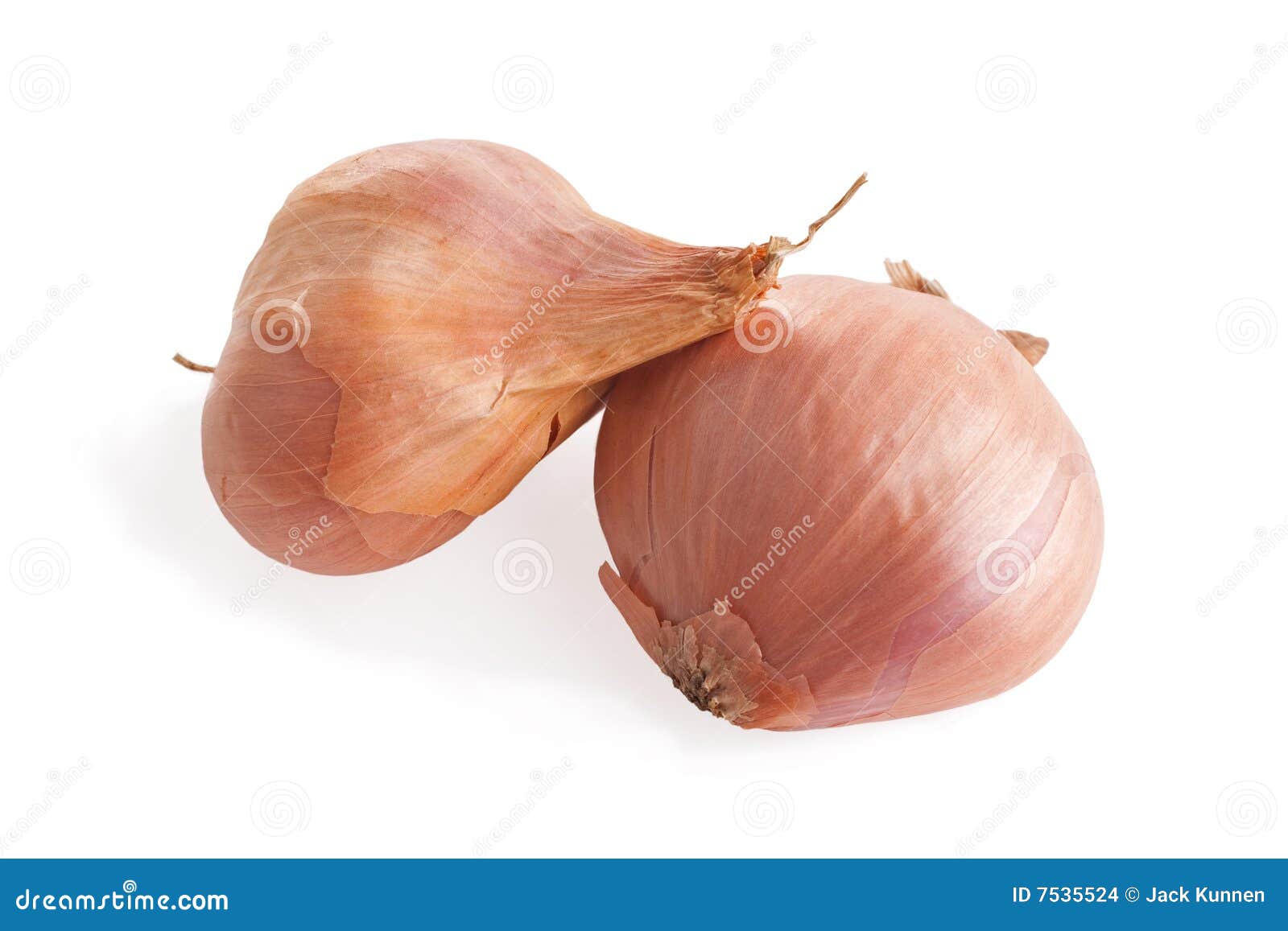 Two Shallot stock photo. Image of market, food, organic - 7535524