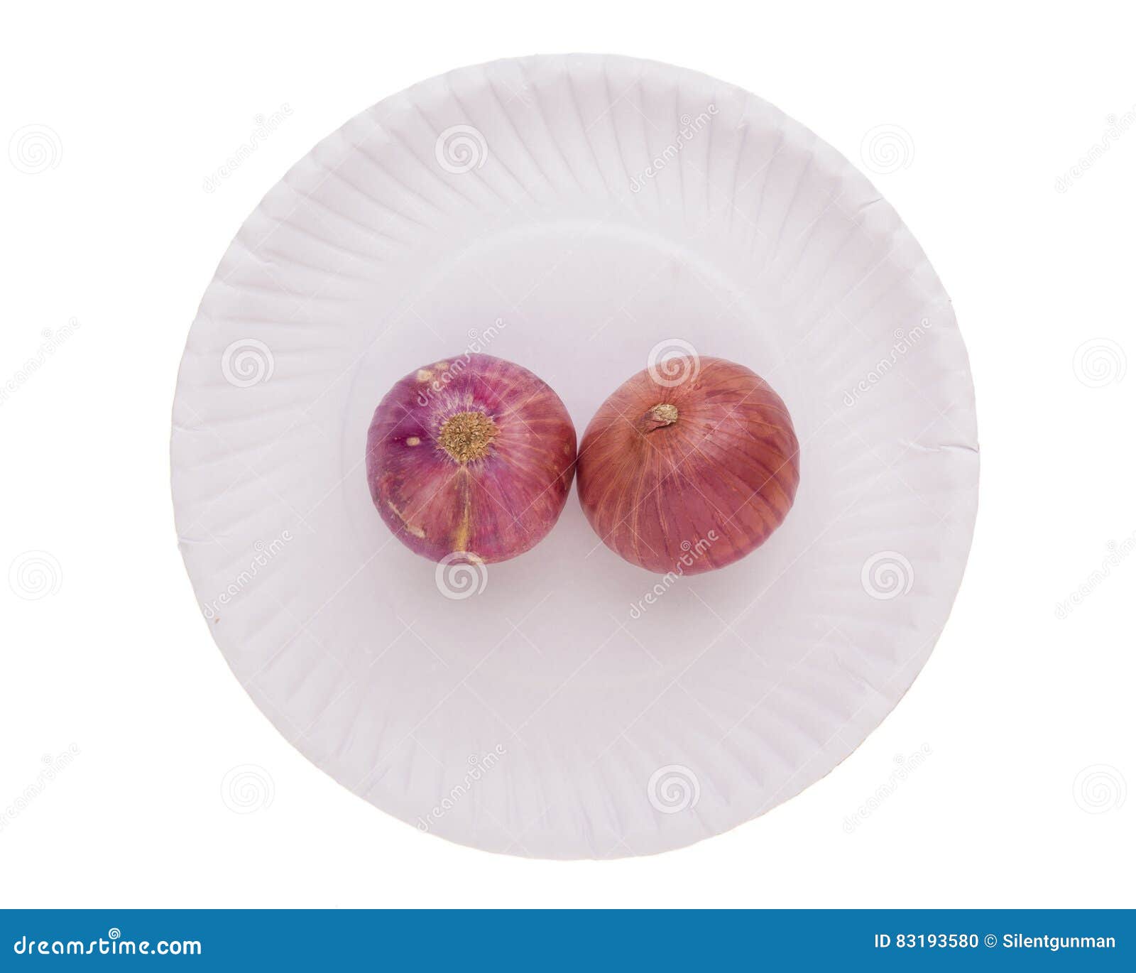 Two shallot dish stock photo. Image of ingredient, vegetable - 83193580