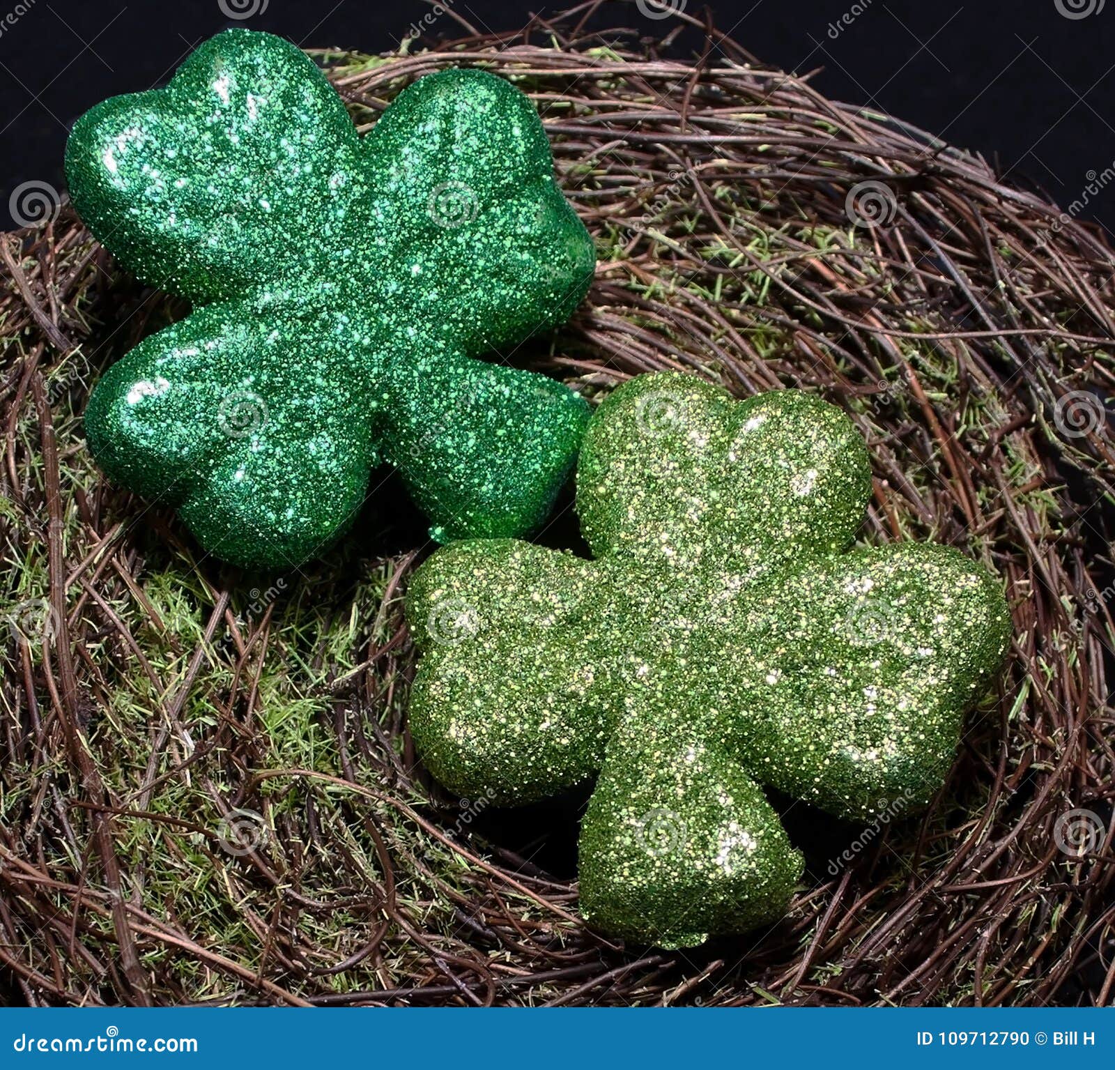 Two Shamrocks on a Moss Background Stock Photo - Image of shamrock ...