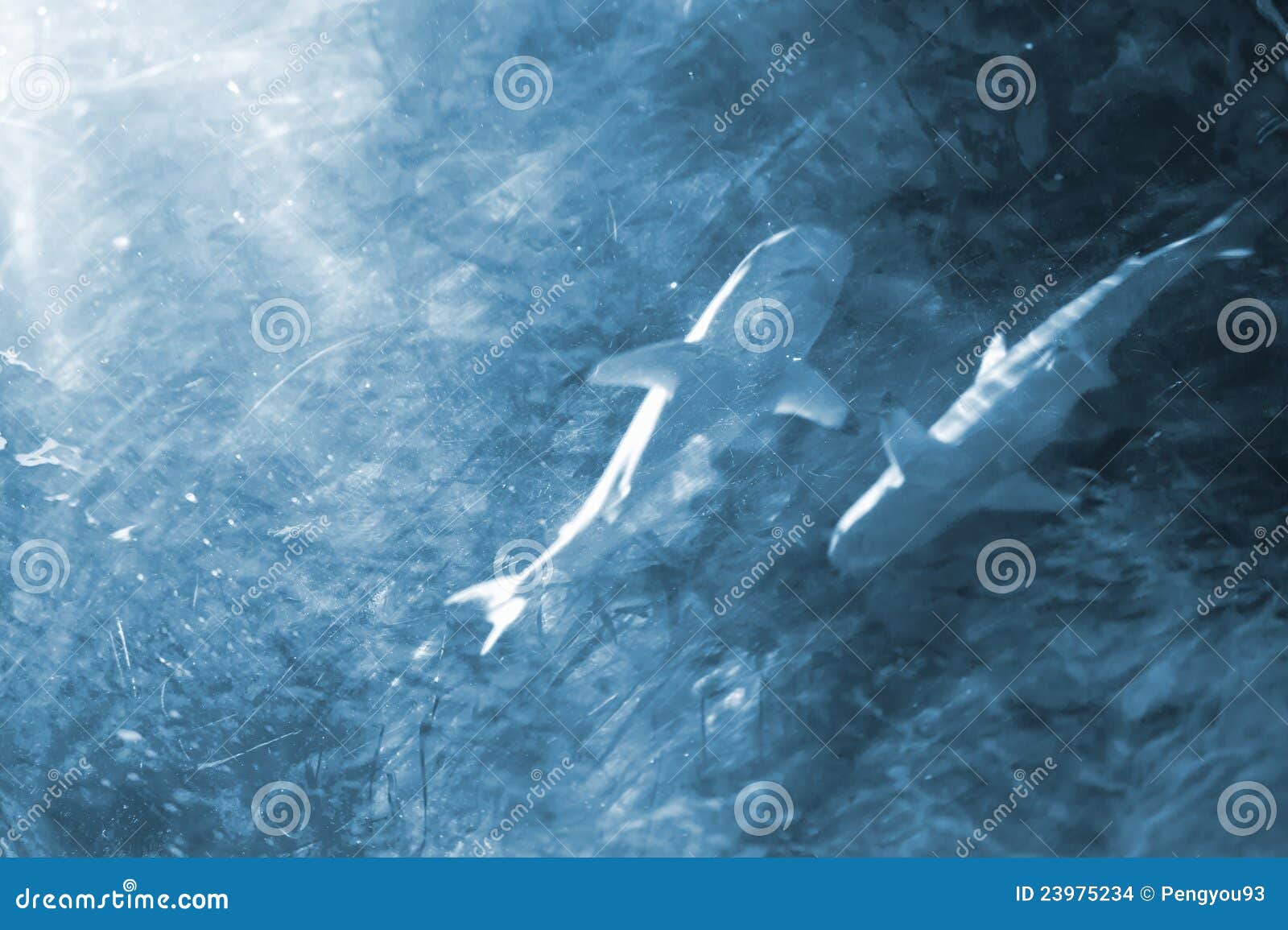 Two sharks stock photo. Image of panoramic, angelfish - 23975234