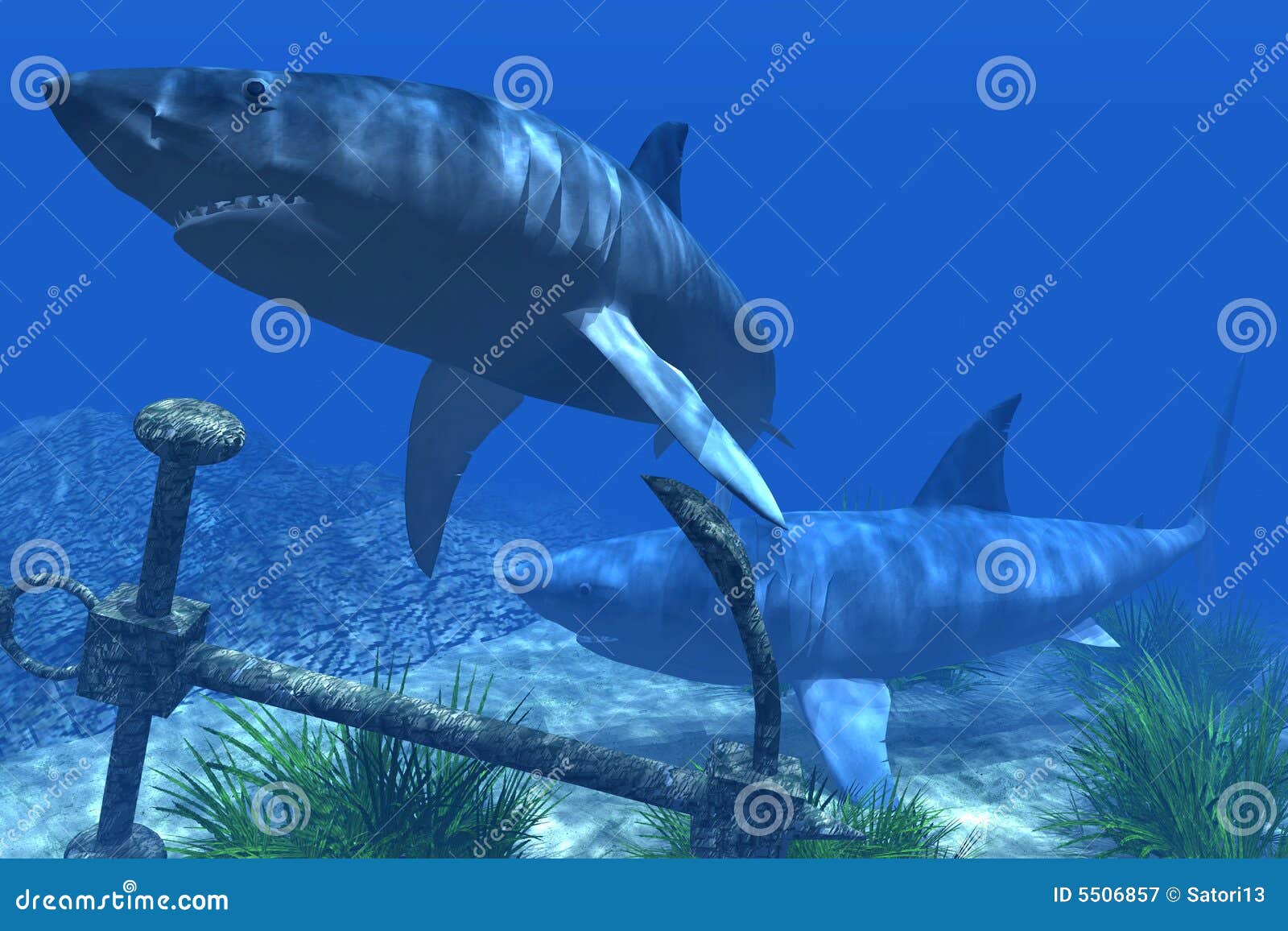 Two Sharks in the Caribbean Waters Stock Illustration - Illustration of ...