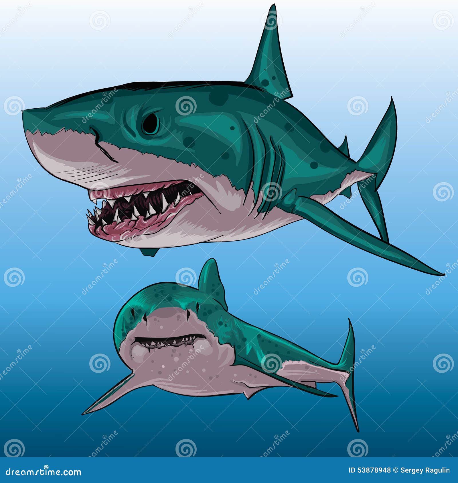 Two sharks stock vector. Illustration of angry, large - 53878948