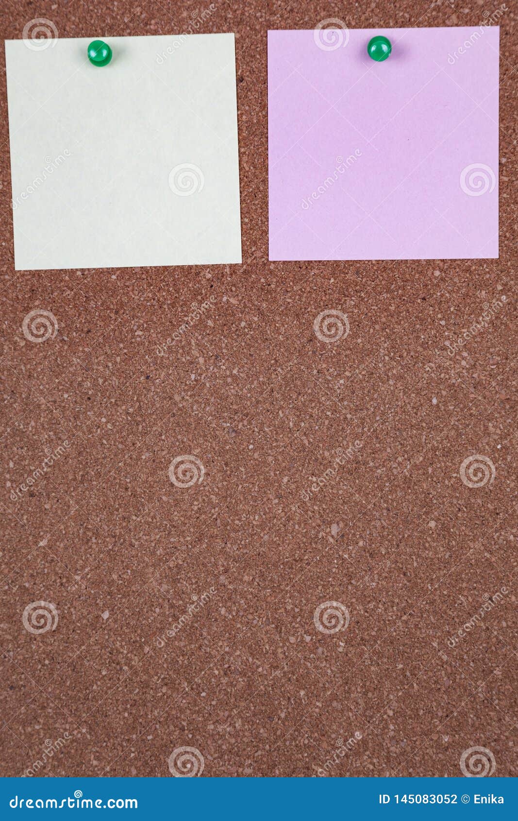 Two Sheets of Paper on Corkboard Stock Photo - Image of bulletin, note ...