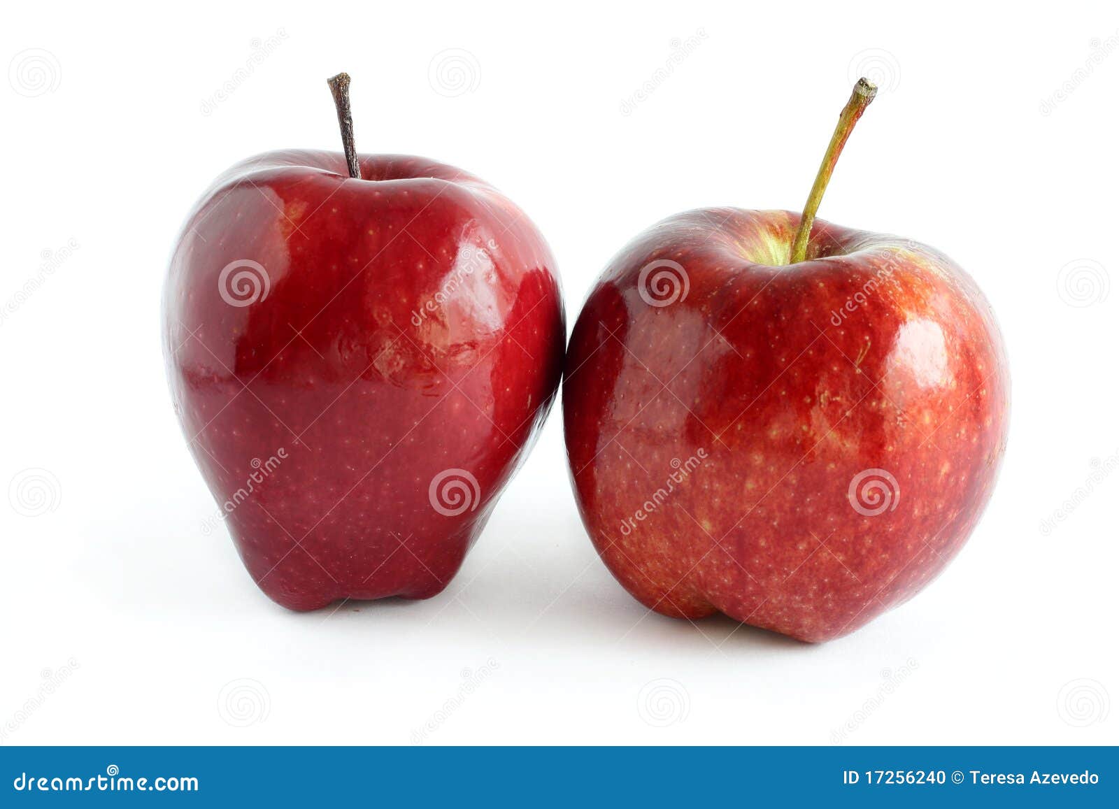 Two Shiny Red Apples Stock Photo - Image: 17256240