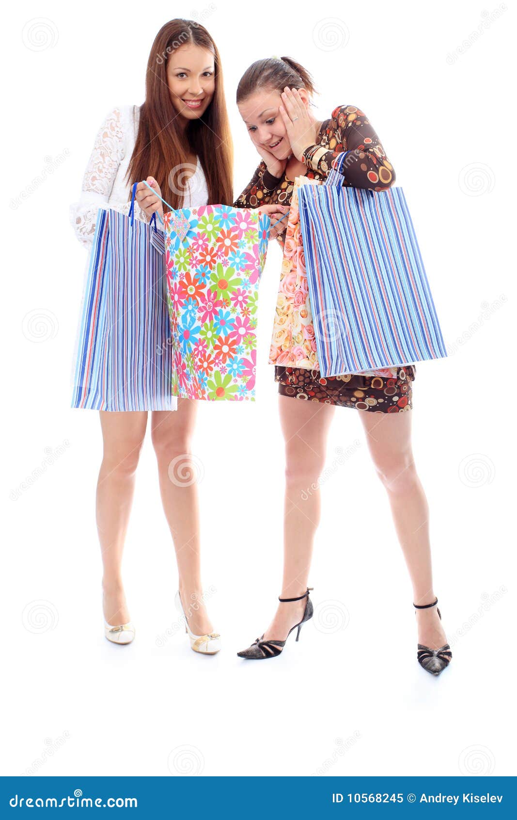 Two shoppers stock image. Image of beautiful, girlfriends - 10568245