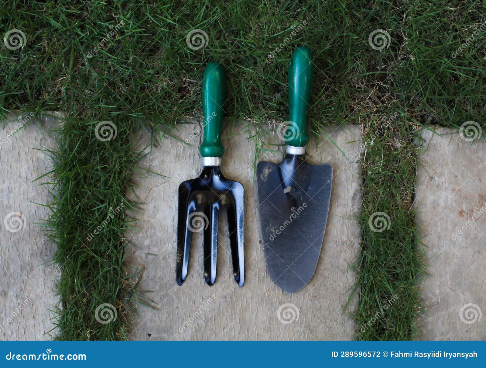 Two shovel in the yard stock photo. Image of planting - 289596572