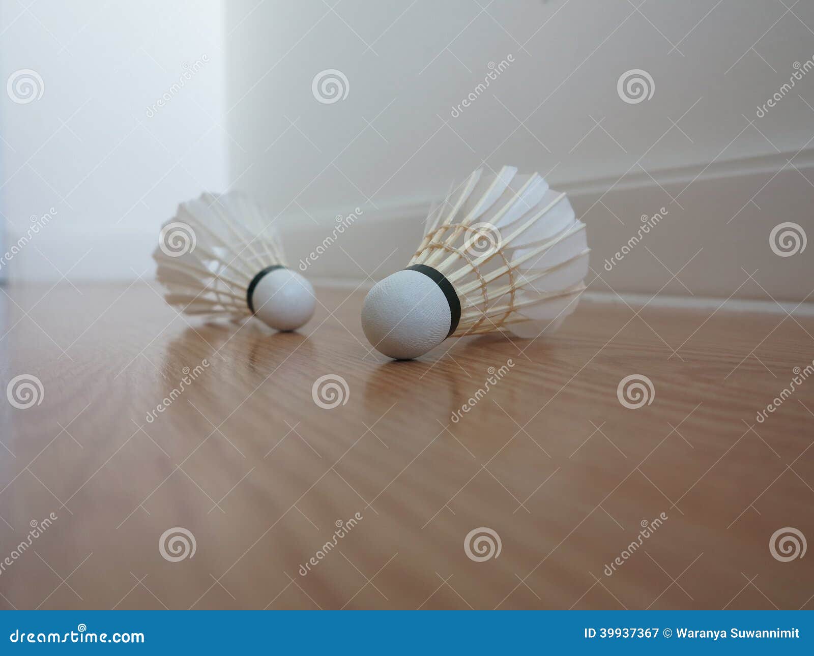 Two Shuttlecocks in the Badminton Stock Image - Image of leisure ...