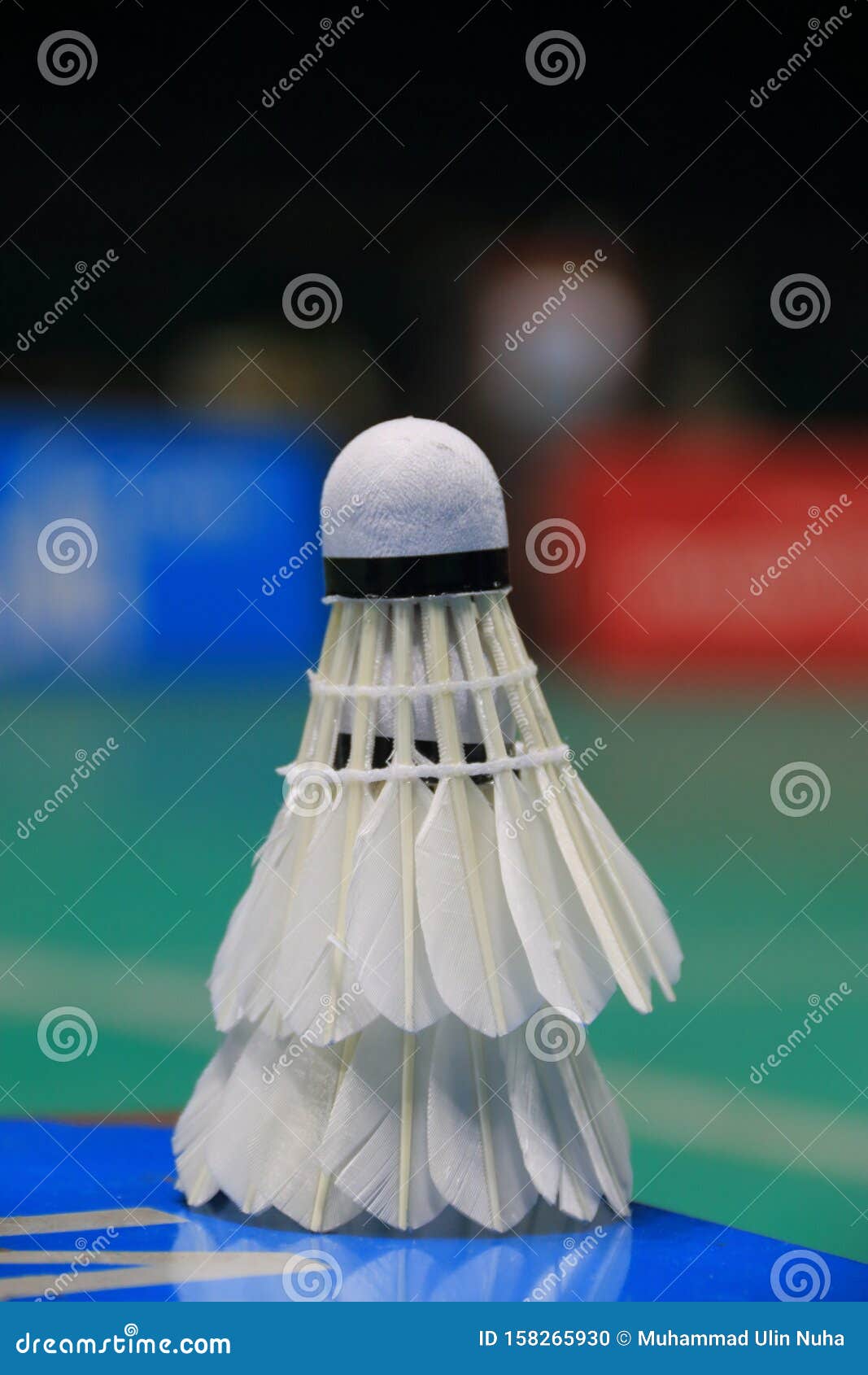 Two Shuttlecocks In The Side Of Badminton Court Stock Photo - Image of ...