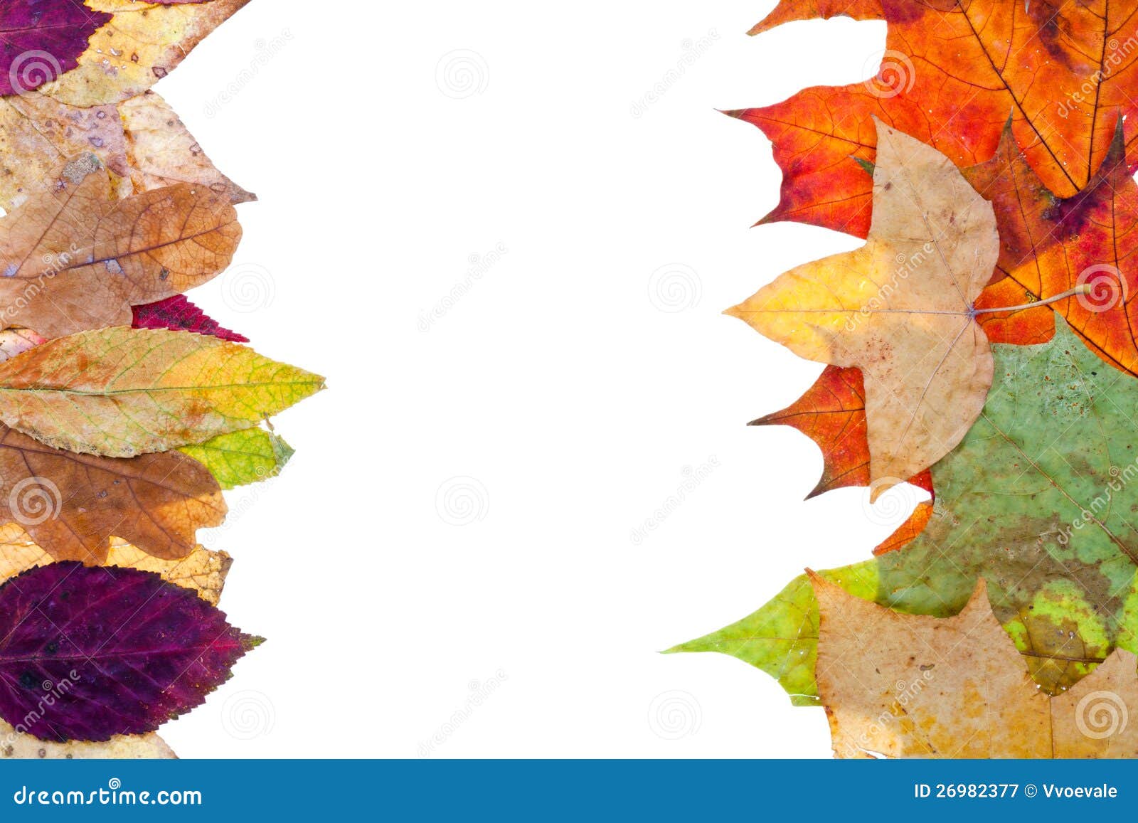 Two Side Natural Frame from Autumn Leaves Stock Image - Image of litter ...