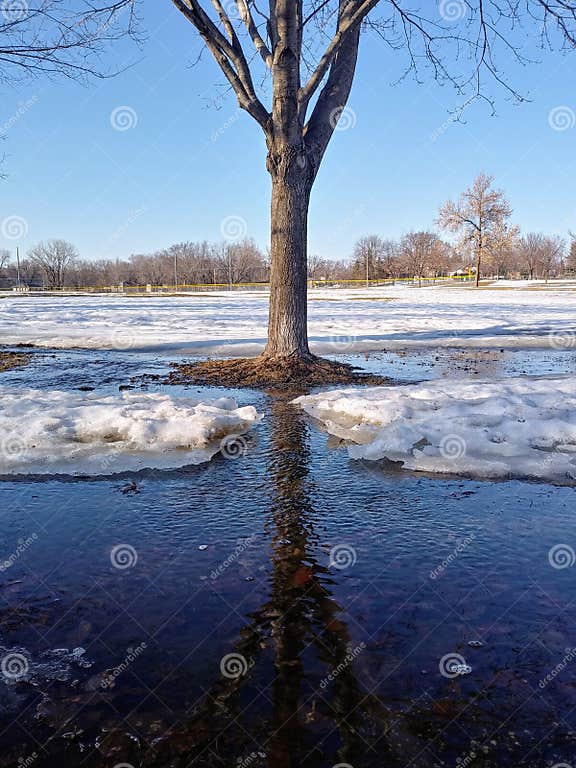 Two Sided Reflections stock image. Image of snow, nature - 147683067