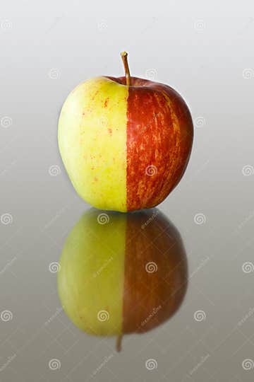 Two Sides stock photo. Image of color, side, chimera, sides - 4835006