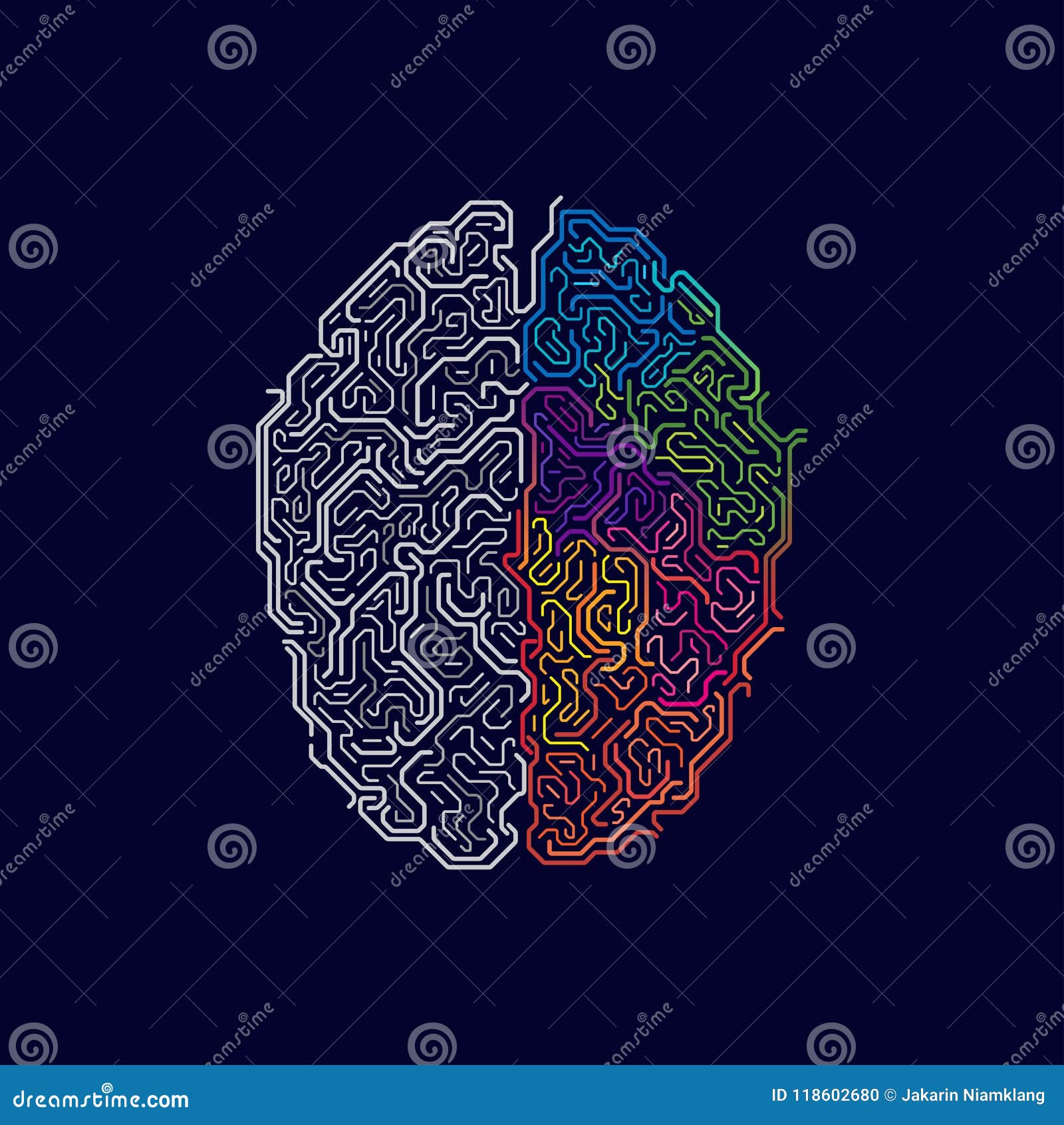 Two sides of brain stock vector. Illustration of creative - 118602680
