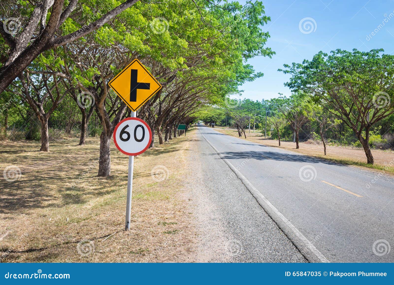 The Two Sides of the Country Road with Trees Stock Image - Image of ...