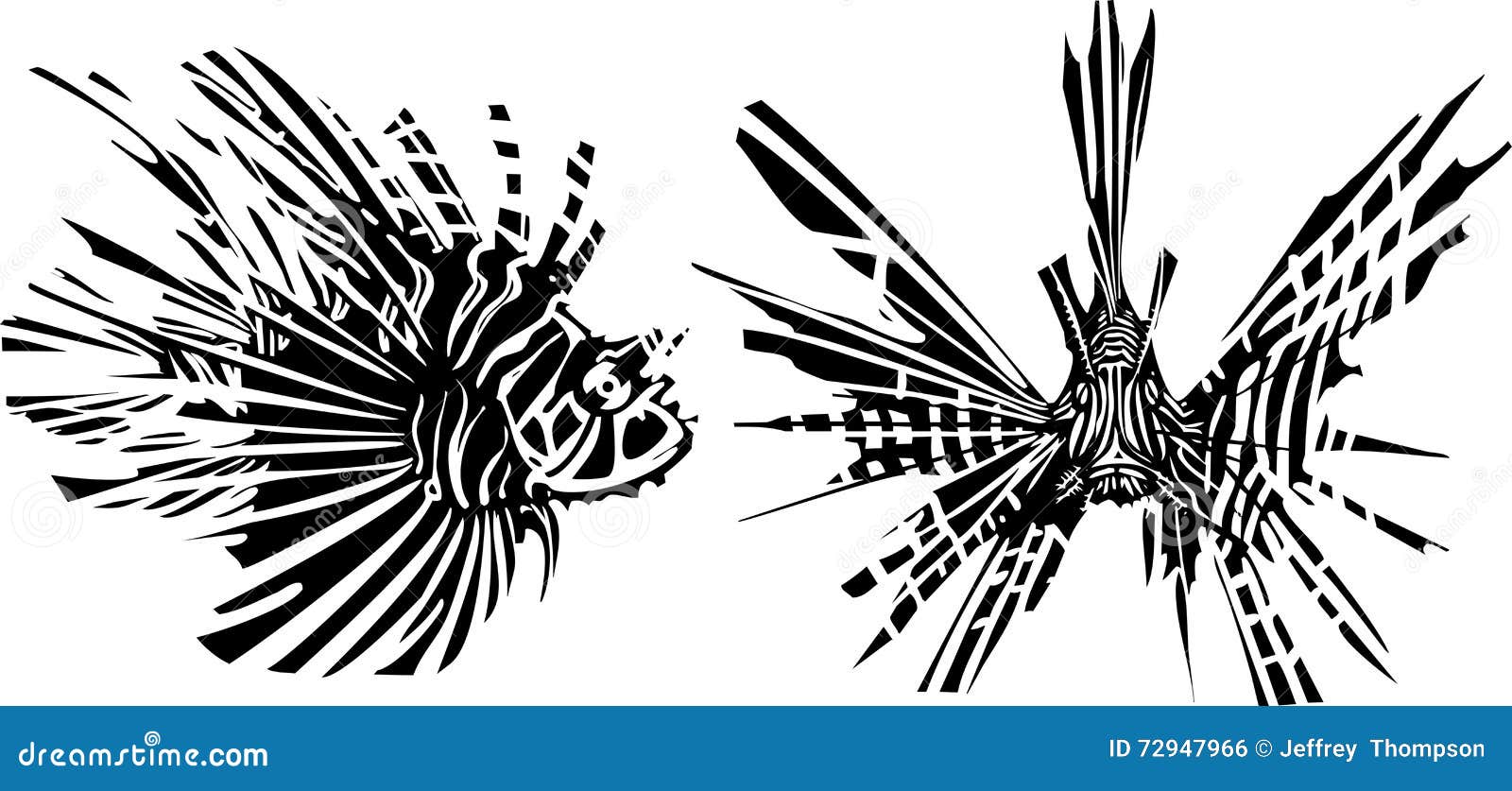 Two sides of a LionFish stock illustration. Illustration of wildlife ...