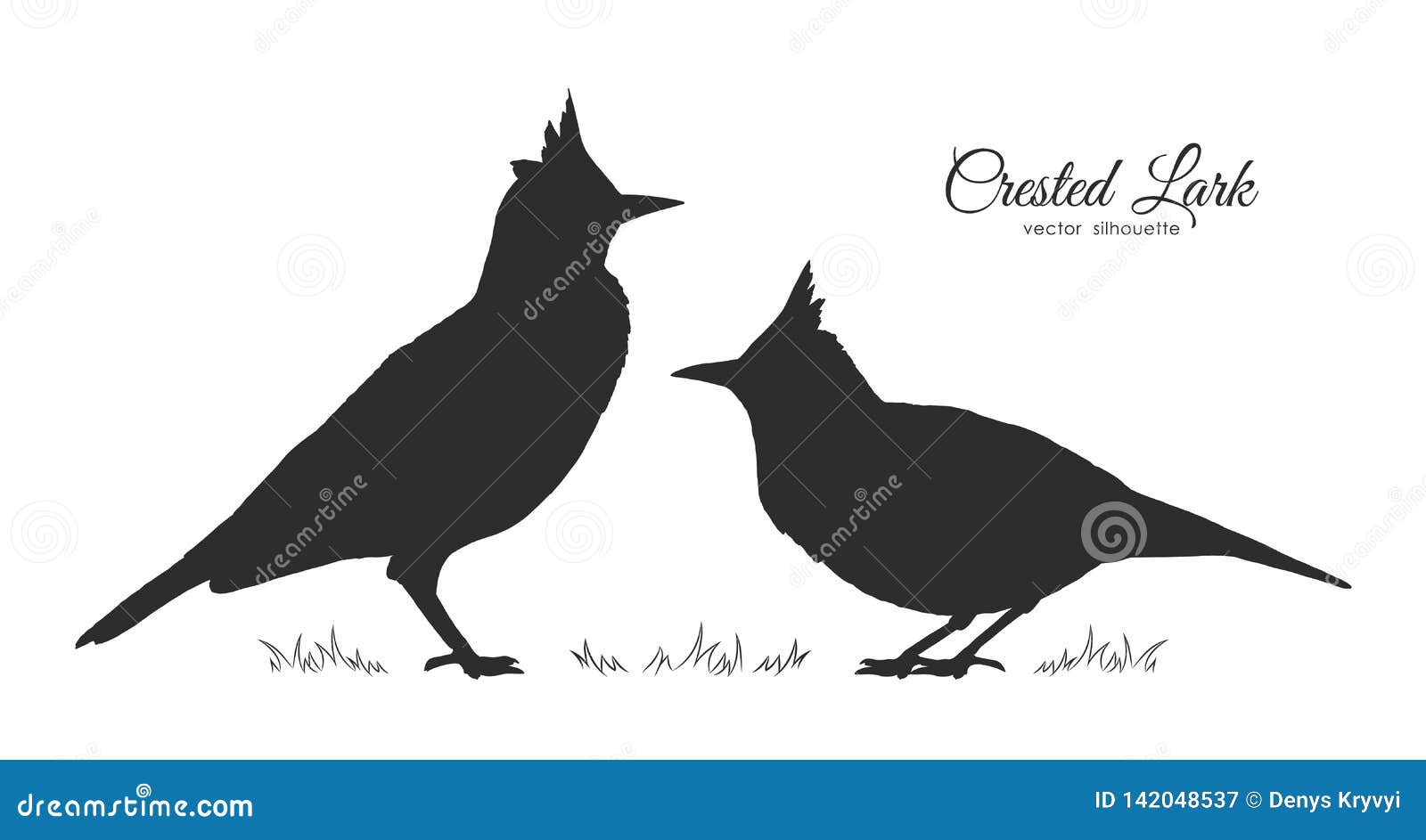 Two Silhouette of Crested Lark. Little Birds Stock Vector ...