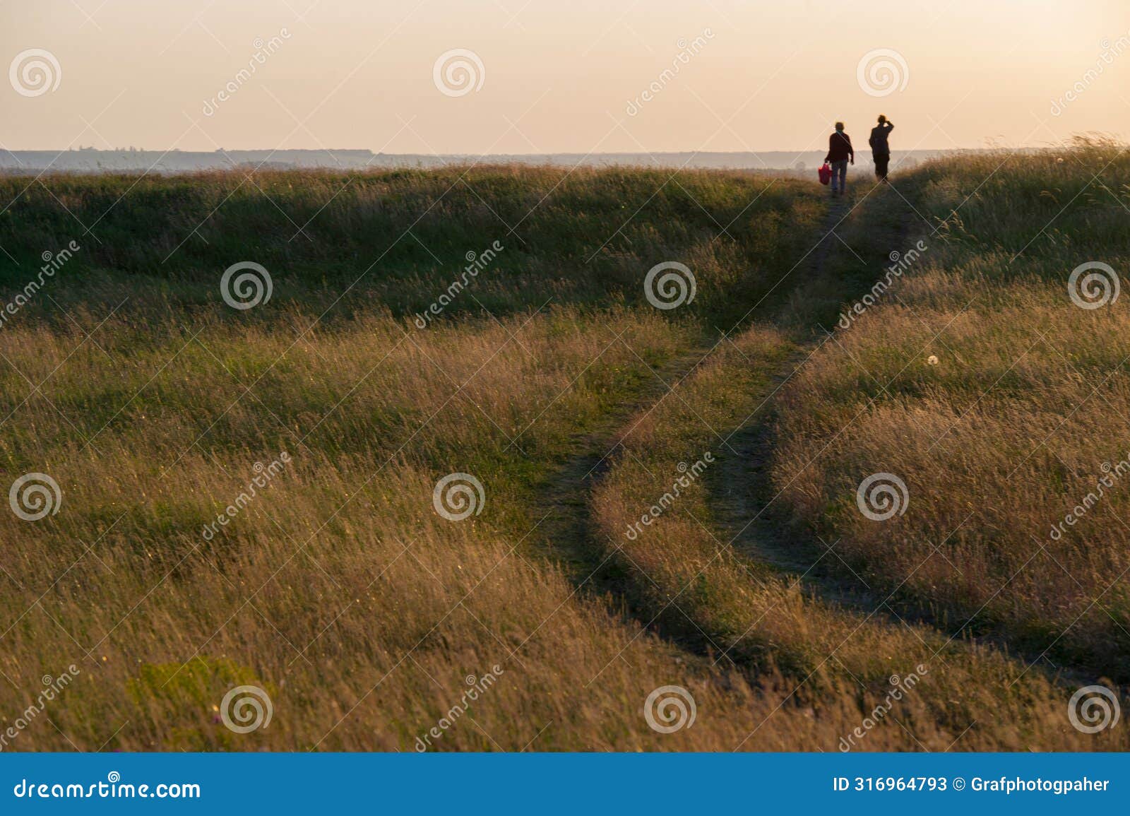 Two Silhouettes of Women Walking Around the Field in the Evening Stock ...