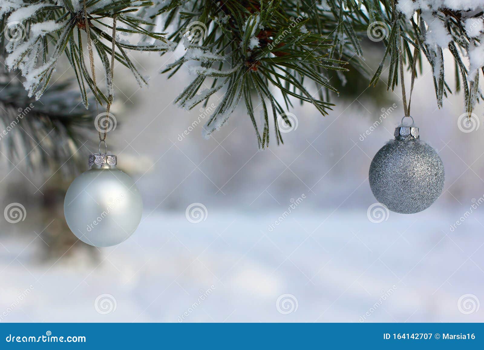 Two Silver Balls on Pine Tree Stock Image - Image of outdoors, balls ...