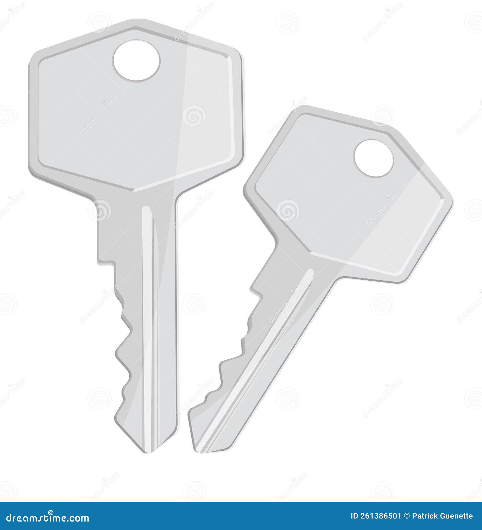 Two silver keys, icon stock vector. Illustration of open - 261386501