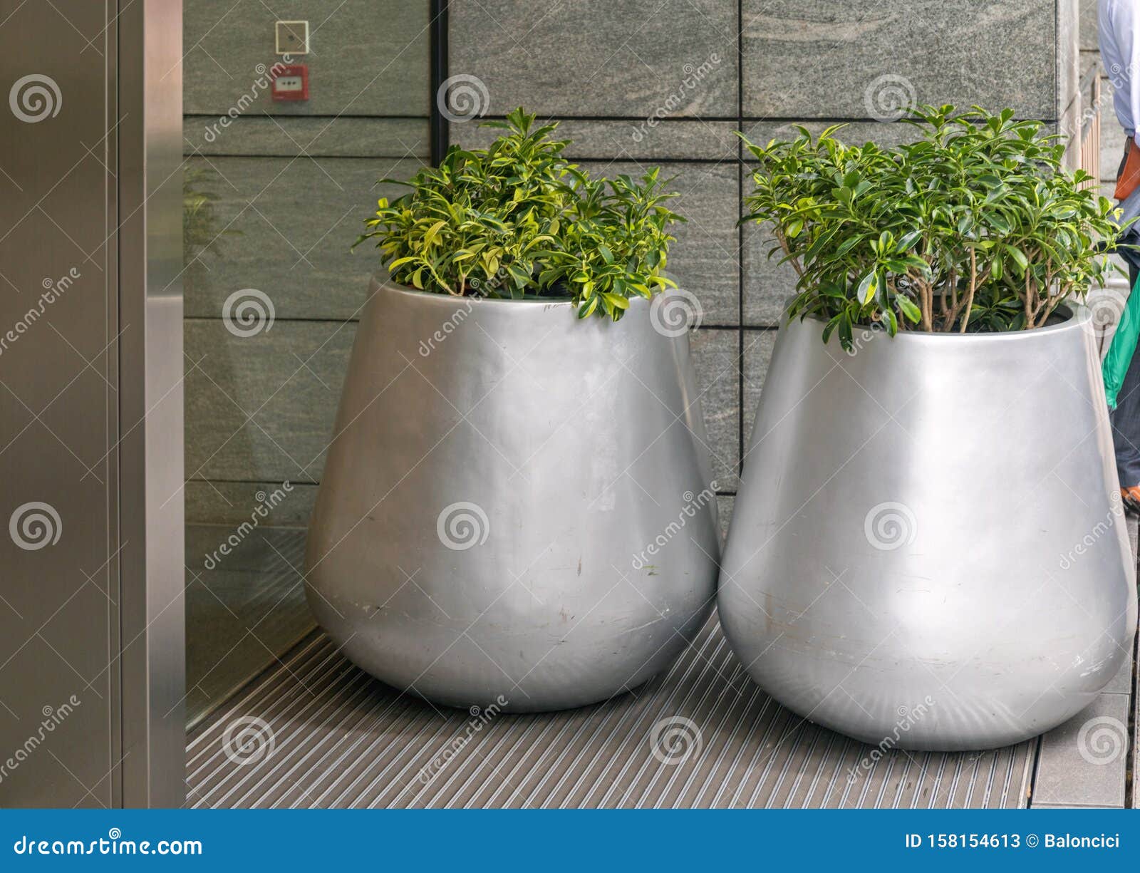 Two Silver Pots stock image. Image of outdoor, flower - 158154613