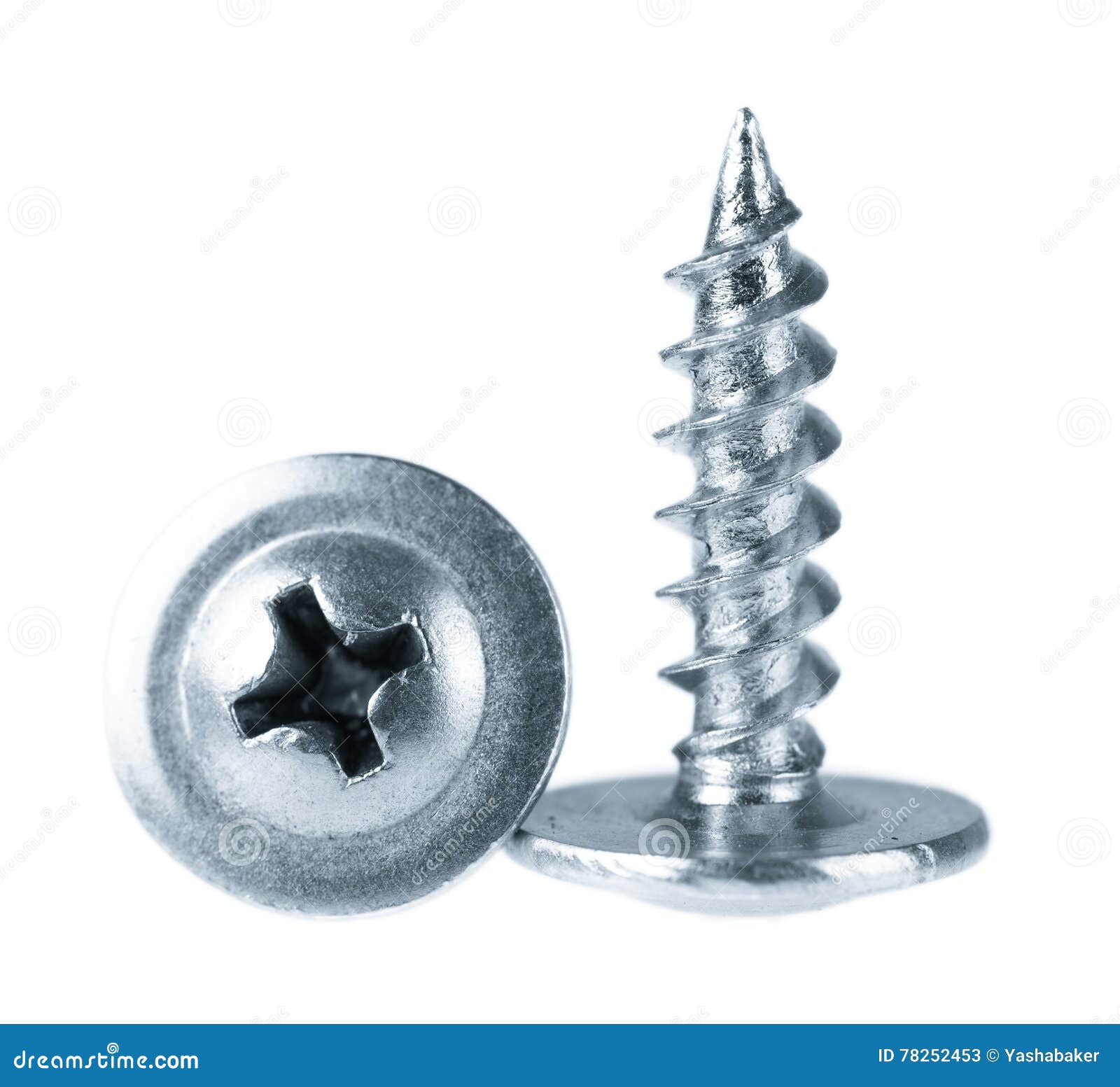 Silver Screws Royalty-Free Stock Image | CartoonDealer.com #48178