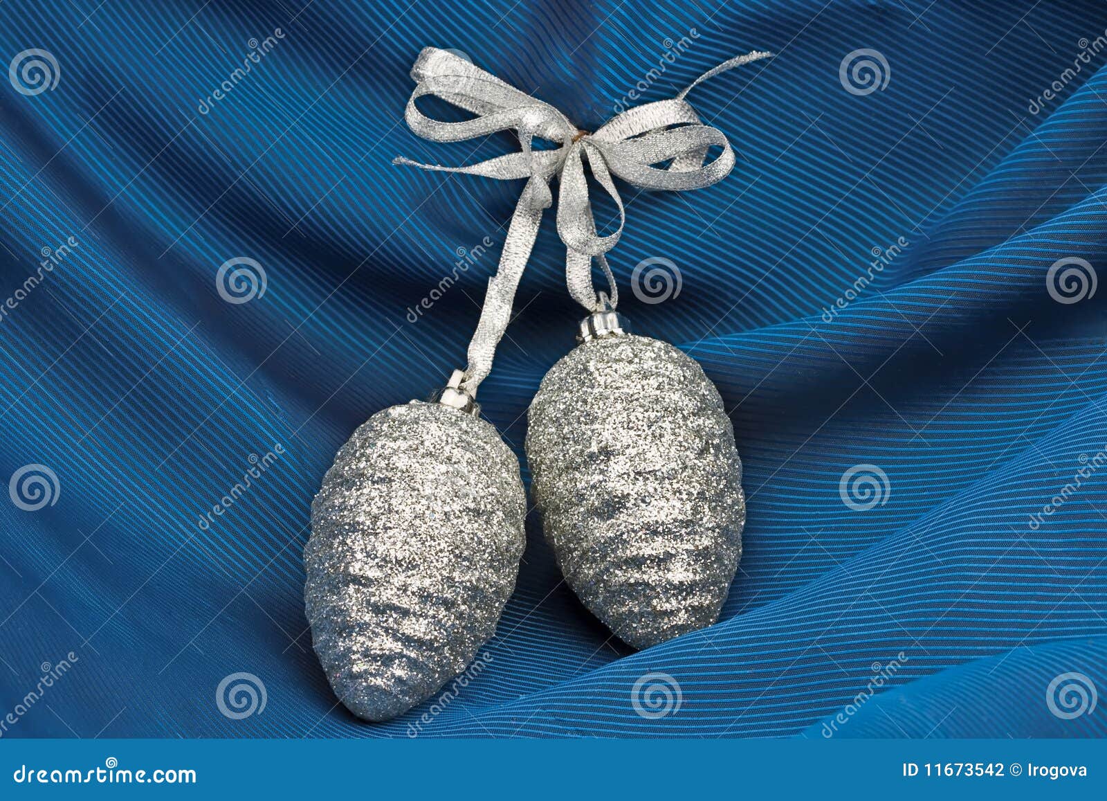 Unusual Silvery Plant, Transparent Leaves, Paronychia Argentea, Plants ...