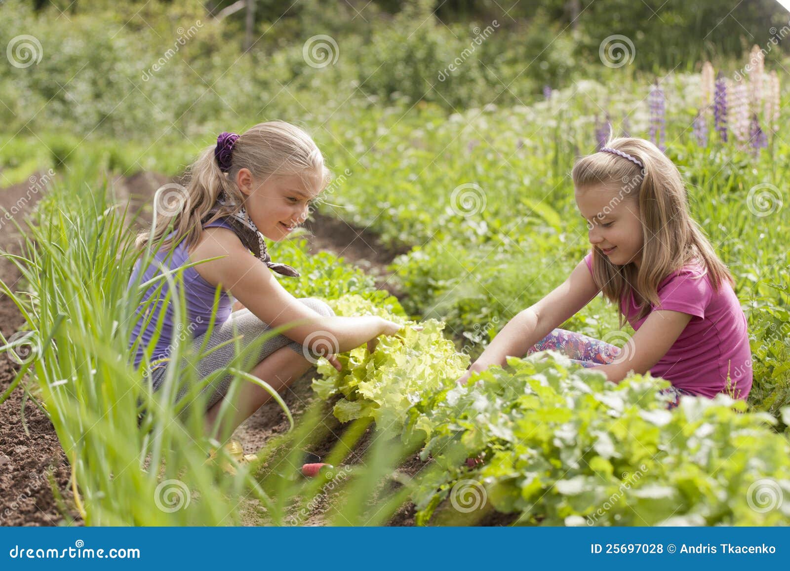 Two sisters in garden stock photo. Image of daughter - 25697028