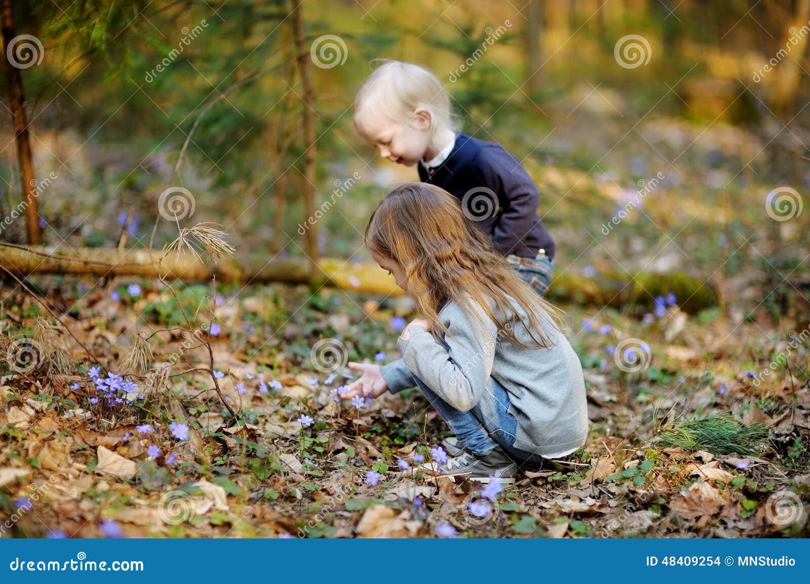 Two Sisters Picking the First Flowers of Spring Stock Photo - Image of ...