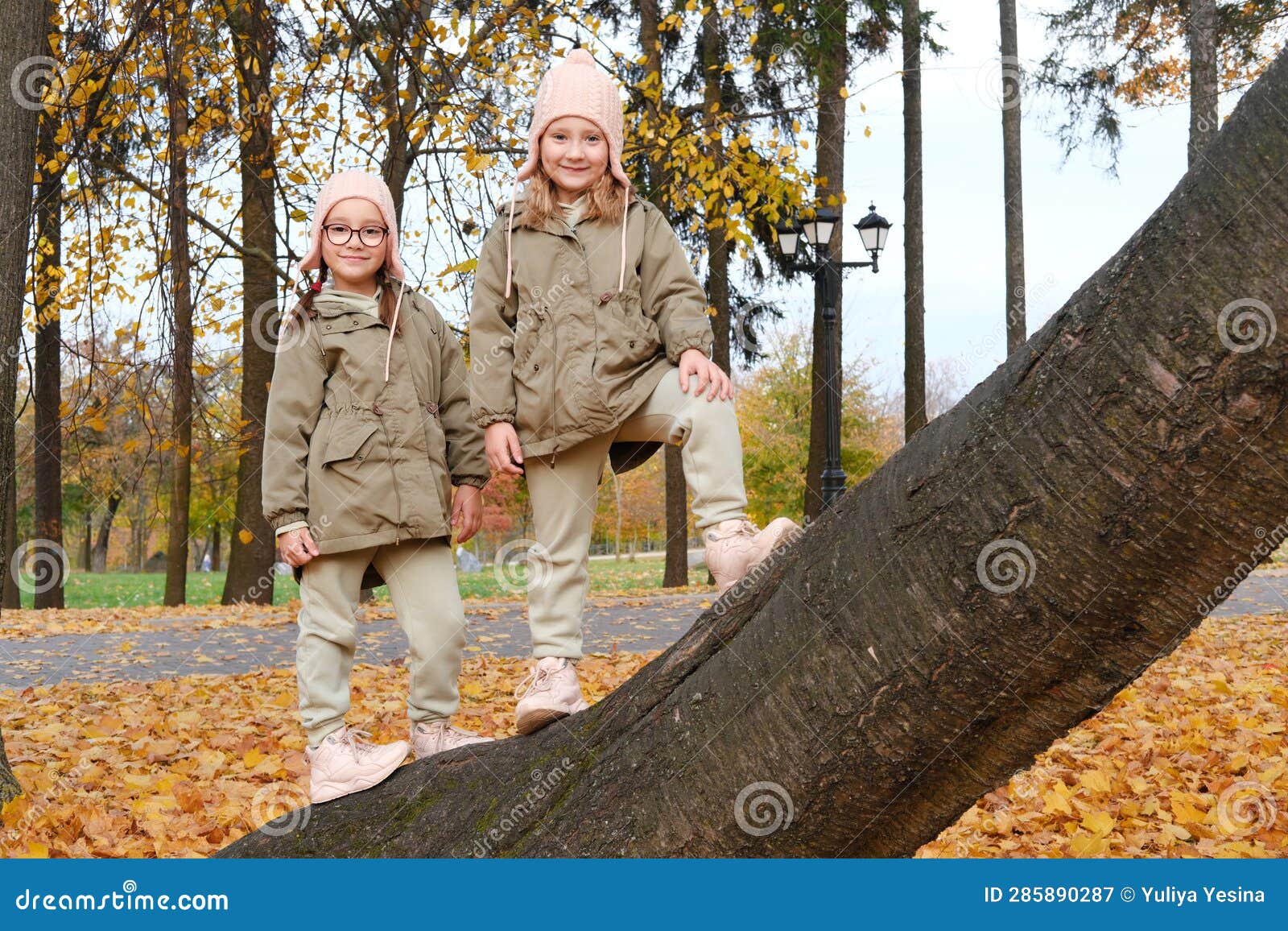 Two Sisters Pose for the Camera on a Tree in the Autumn Park. the ...