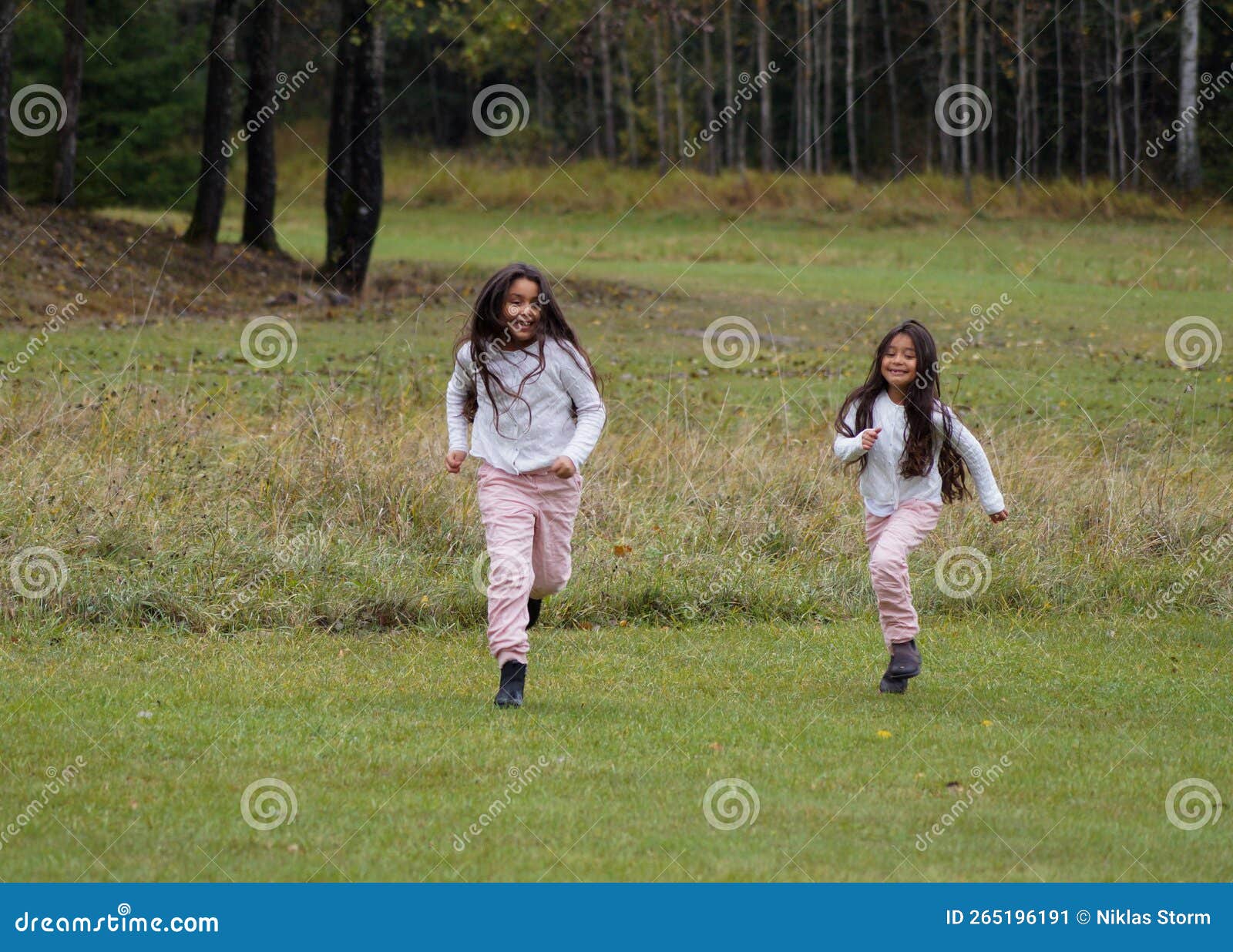 Two Sisters Running on a Field Stock Image - Image of view, happiness ...