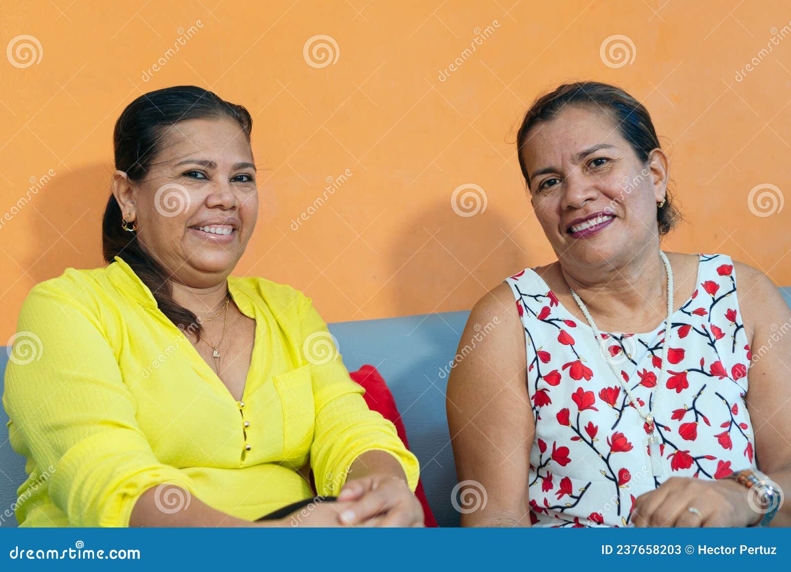 Two Sisters Sitting Together On The Sofa At Home Stock Image Image Of Adult Entertainment