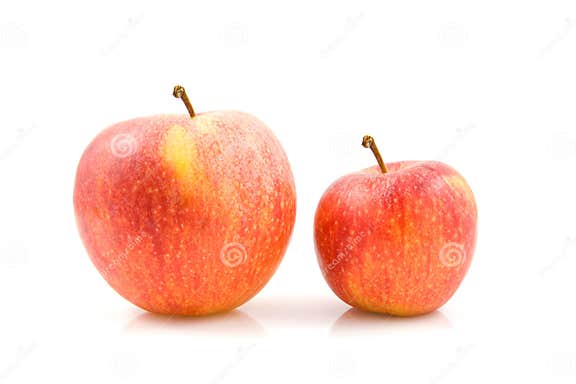 Two sizes of apples stock image. Image of apple, fruits - 11468725