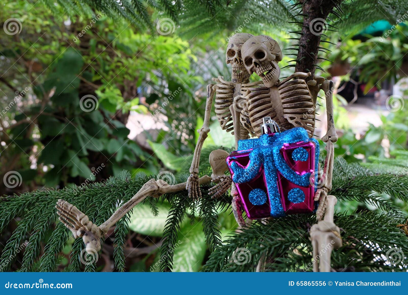 Two Skeletons Gifts Hand Under Tree Stock Photos - Free & Royalty-Free ...