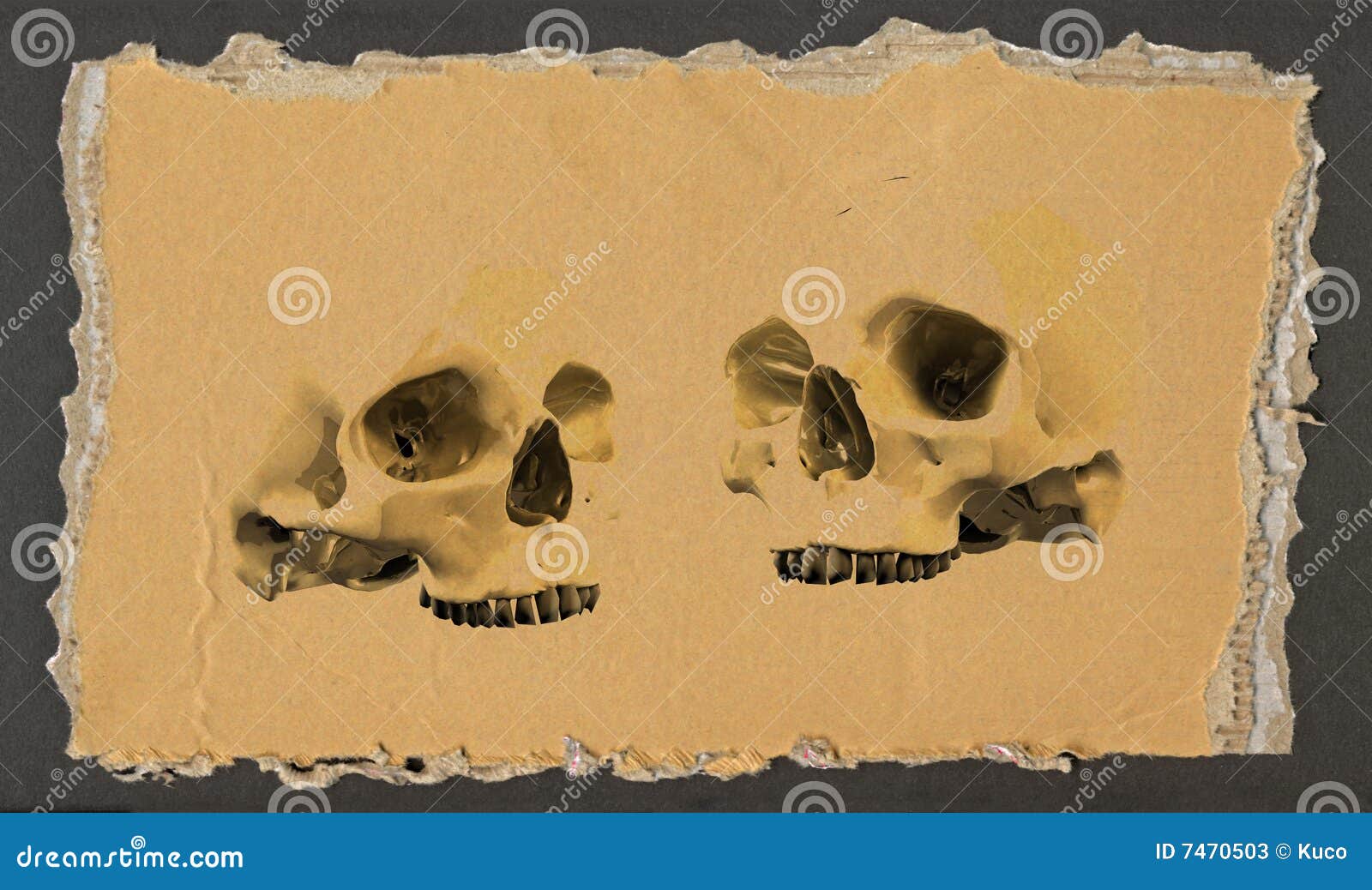 Two skulls 3 stock illustration. Illustration of buccaneer - 7470503