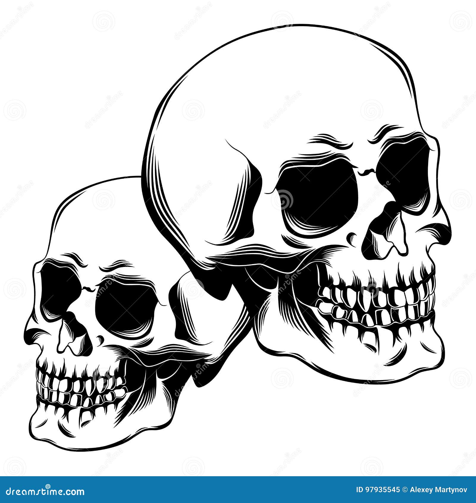 Two skulls stock vector. Illustration of portrait, angry - 97935545