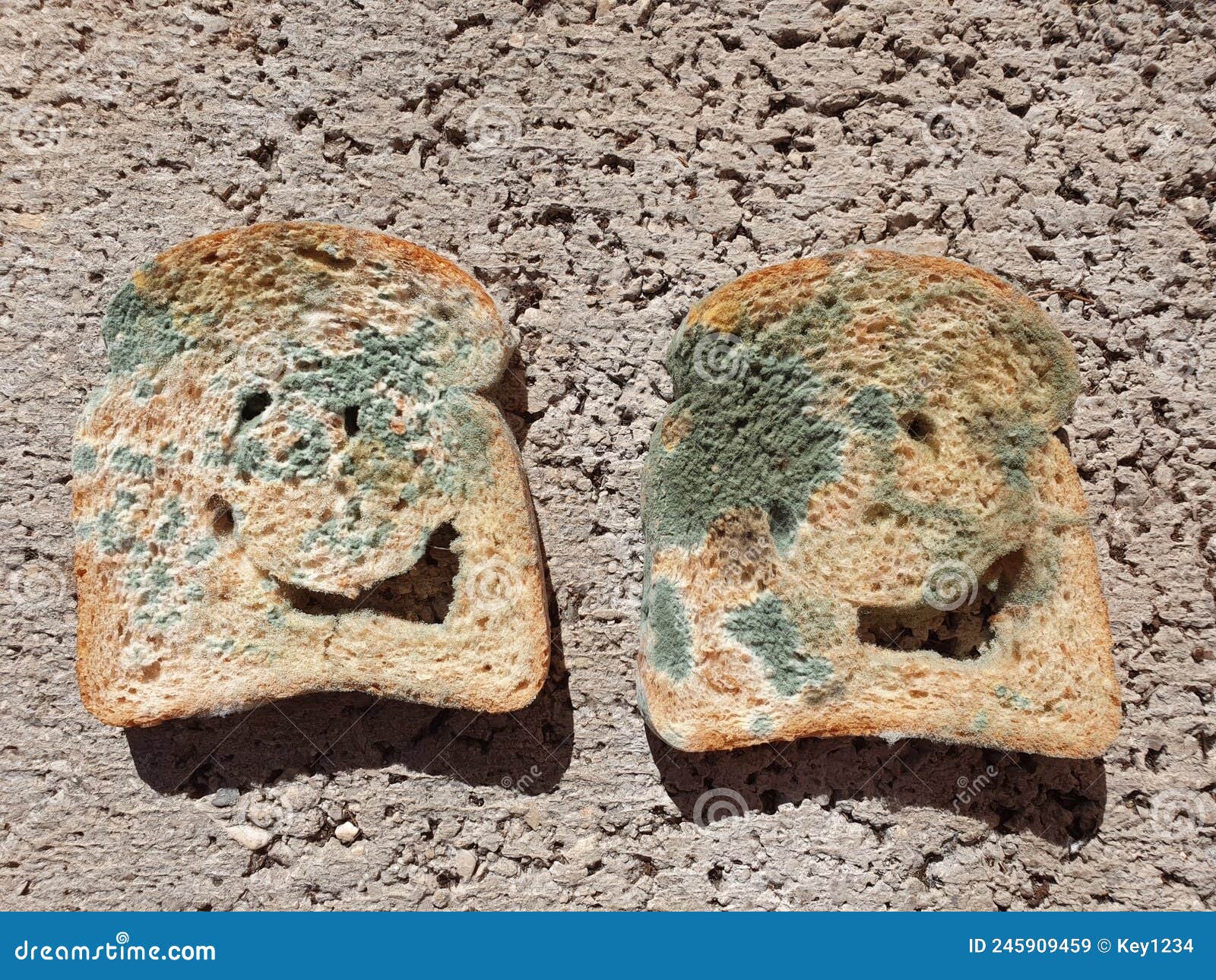 Two Slices of Moldy Bread with Eyes and Mouth Stock Image - Image of ...