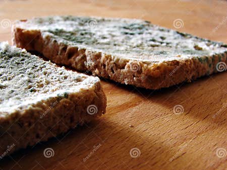 Two slices of mouldy bread stock image. Image of resources - 17000423