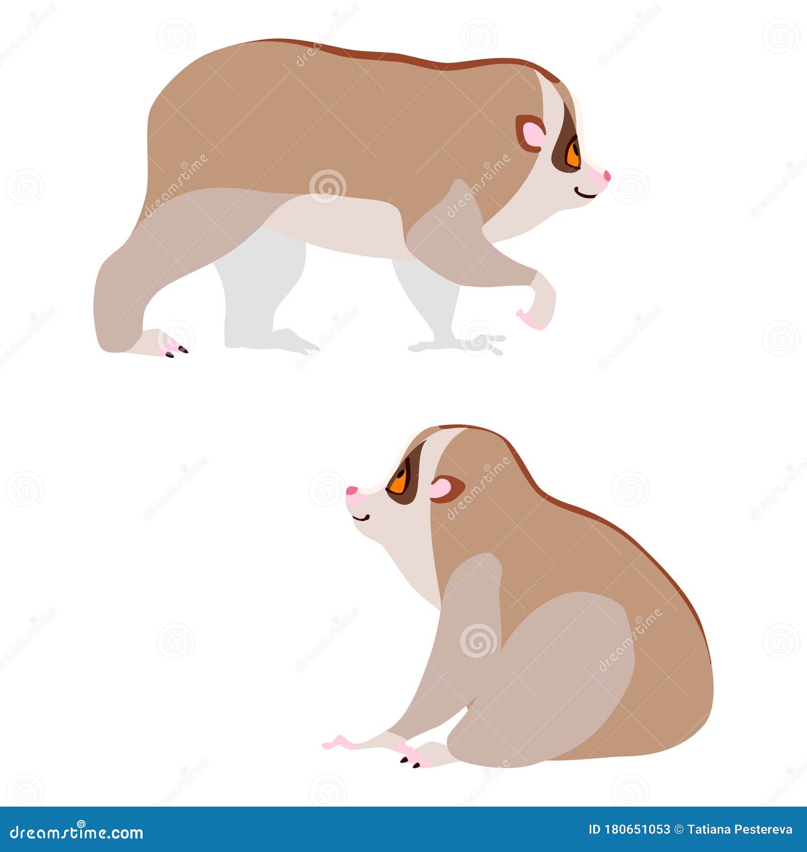 Slow Loris Royalty-Free Stock Image | CartoonDealer.com #55465090